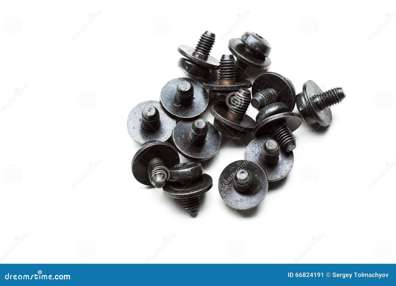 Screws isolated stock image. Image of bolt, shiny, industrial - 66824191