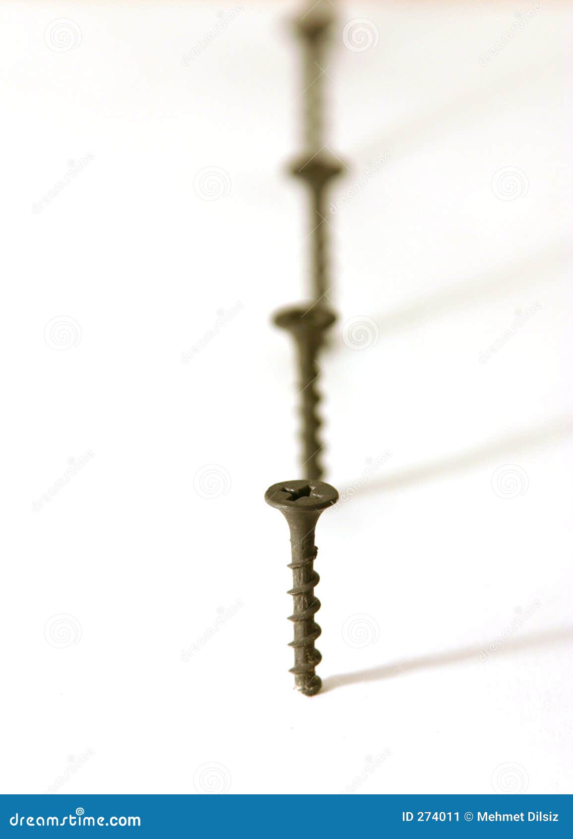 Screws in Line stock image. Image of screws, pointed, industrial - 274011