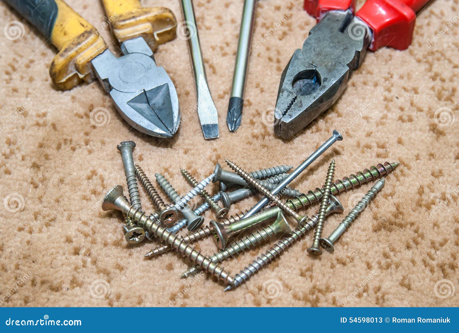 Screws with Plastic Dowels stock image. Image of repair - 54598013