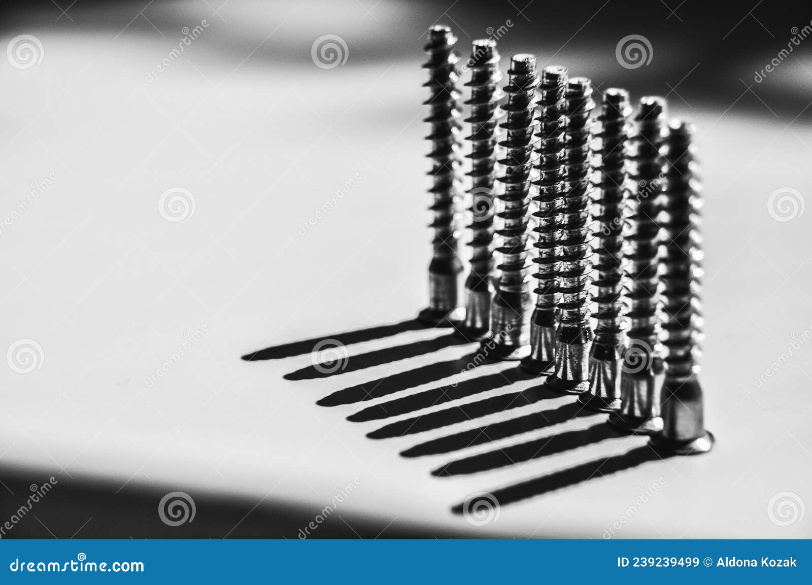 The Screws Stand in a Row Vertically on the White Table Top Casting ...