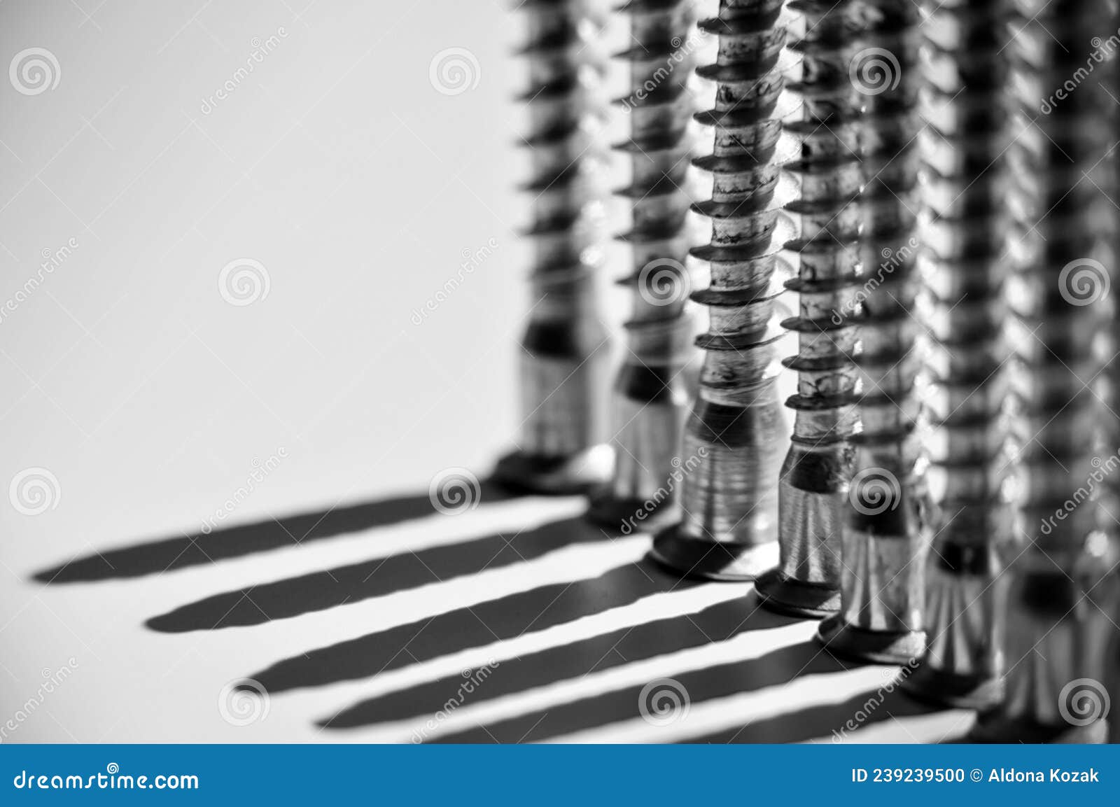 The Screws Stand in a Row Vertically on the White Table Top Casting ...