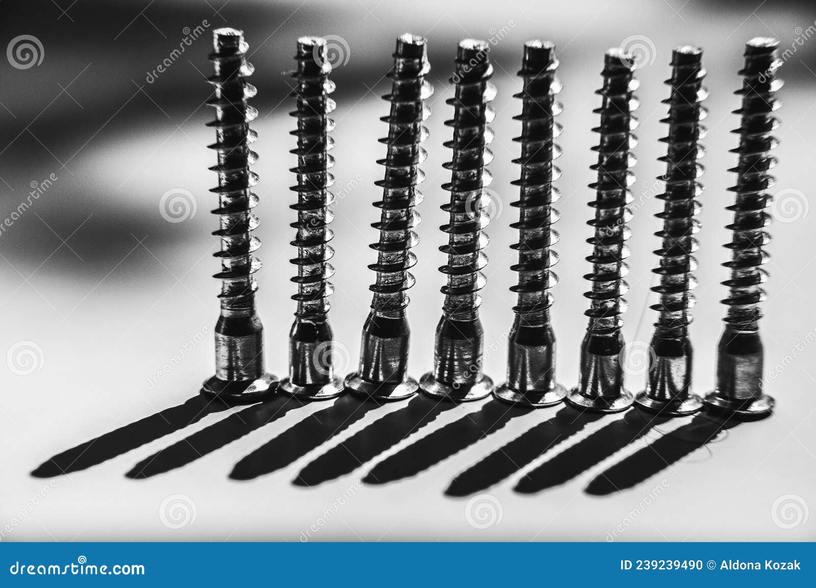 The Screws Stand in a Row Vertically on the White Table Top Casting ...