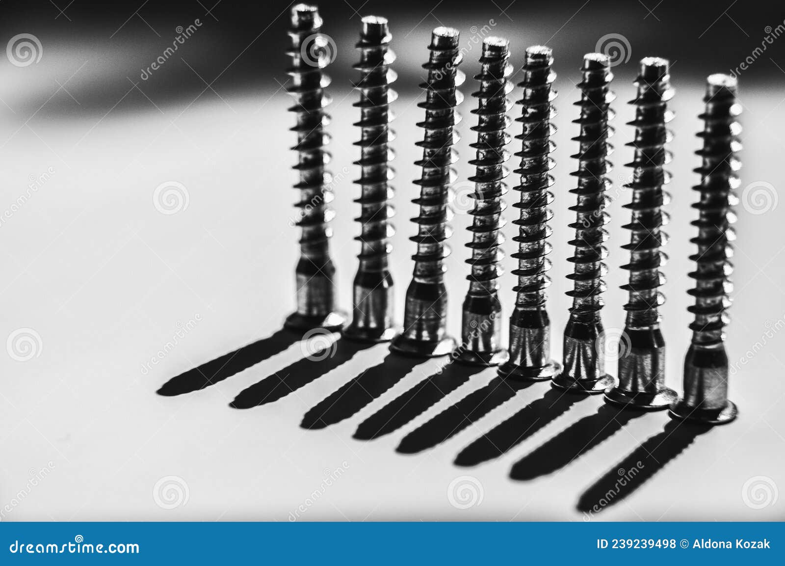 The Screws Stand in a Row Vertically on the White Table Top Casting ...
