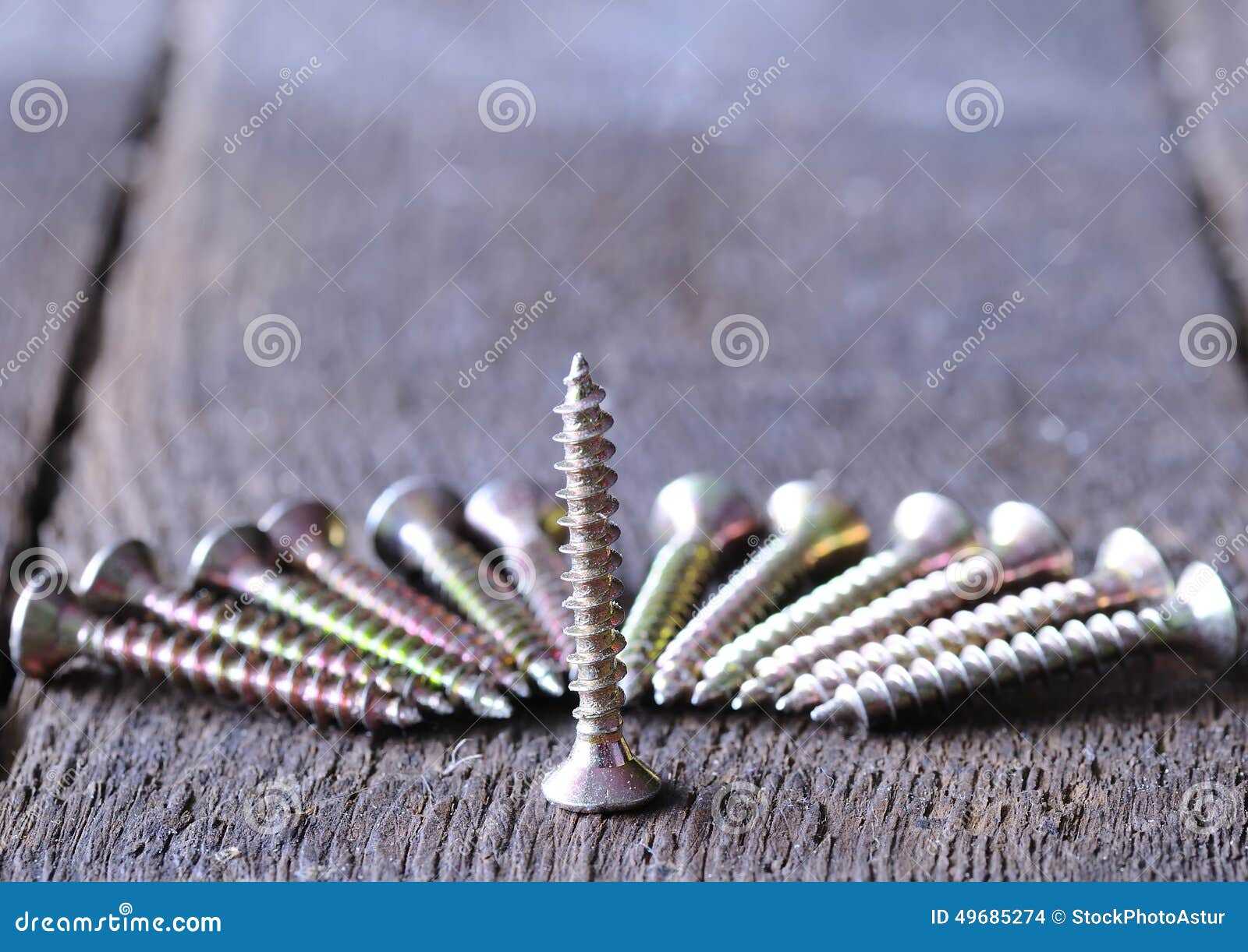 Screws. stock photo. Image of tool, industrial, closeup - 49685274