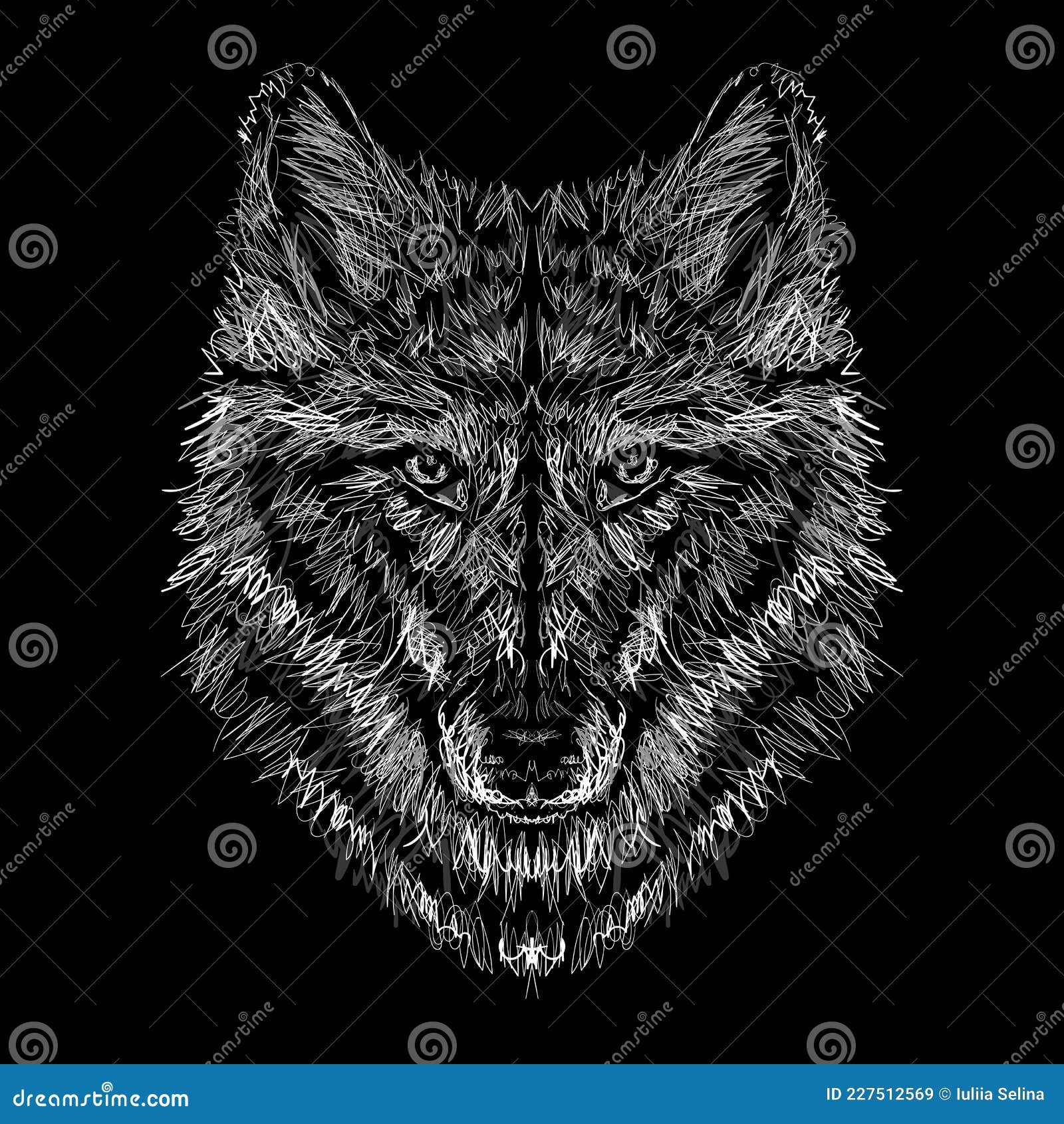 Muzzle Of A Wolf, Wildlife Hand Drawn Vector Illustration Realistic ...