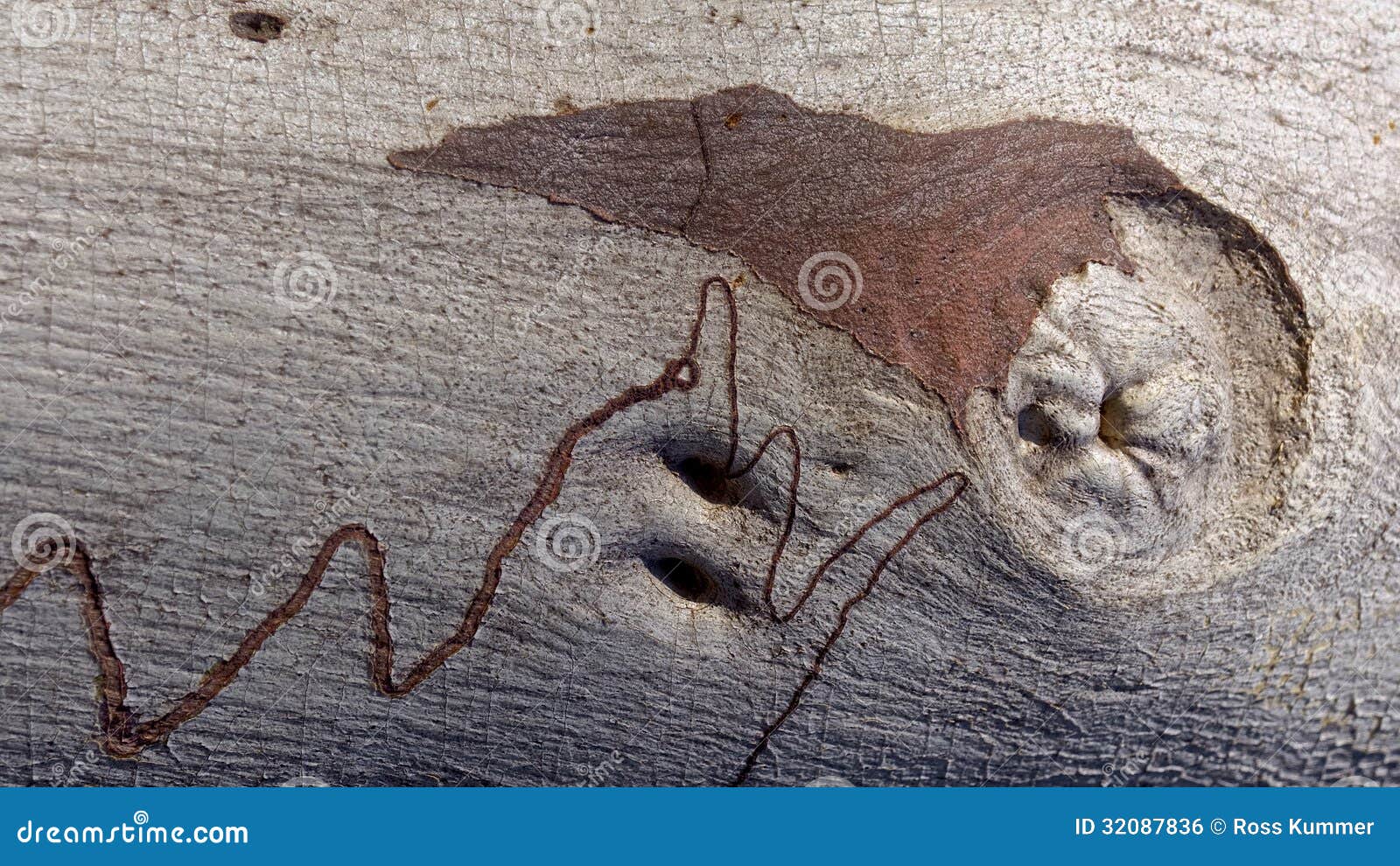 Worm Pattern Royalty-Free Stock Photo | CartoonDealer.com #49485411