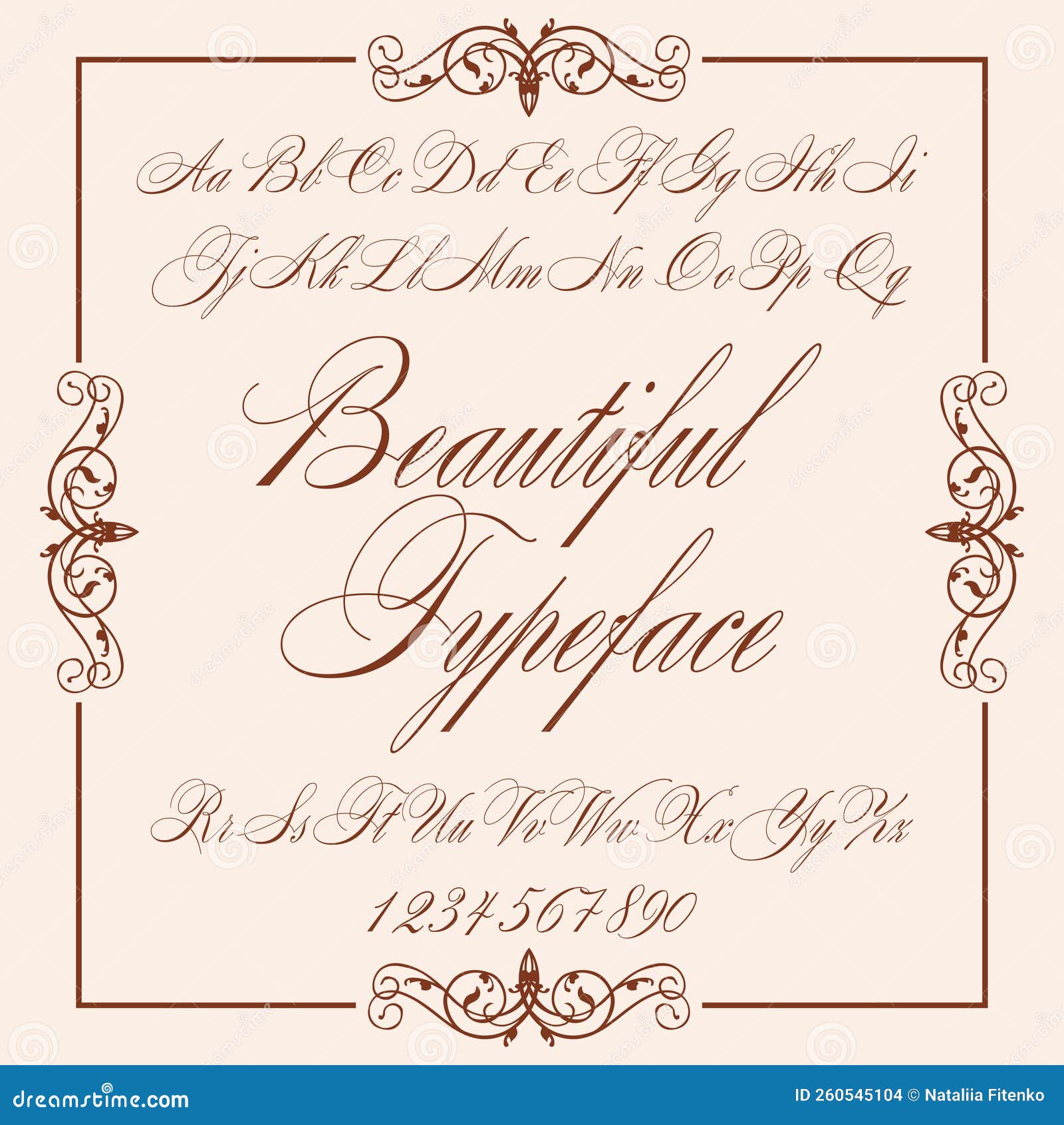 Script Handwriting Font - Beautiful Typeface - Vector Alphabet. Hand ...