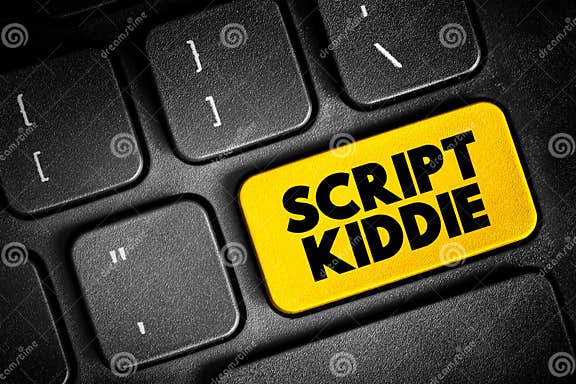 Script Kiddie is Someone that Uses Existing Software To Hack Computer ...