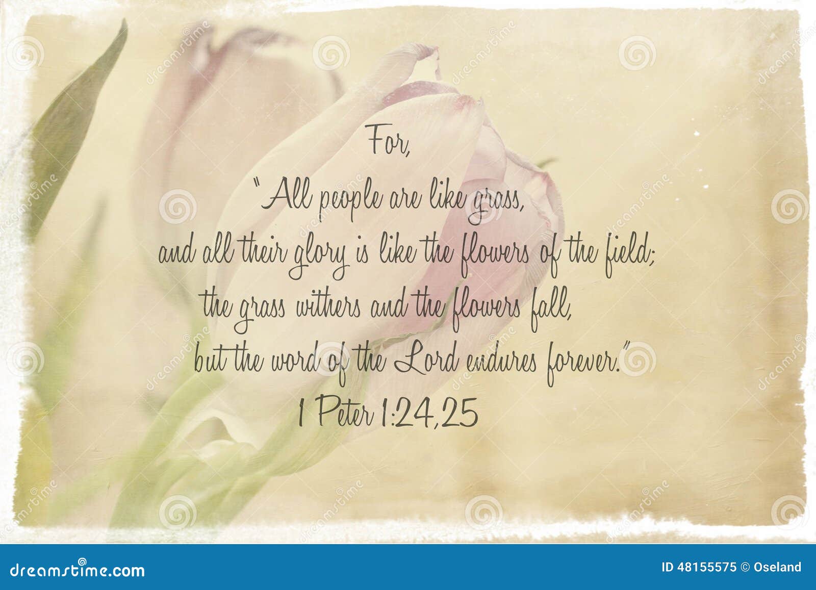 Verse Background Stock Illustrations – 3,442 Verse Background Stock ...