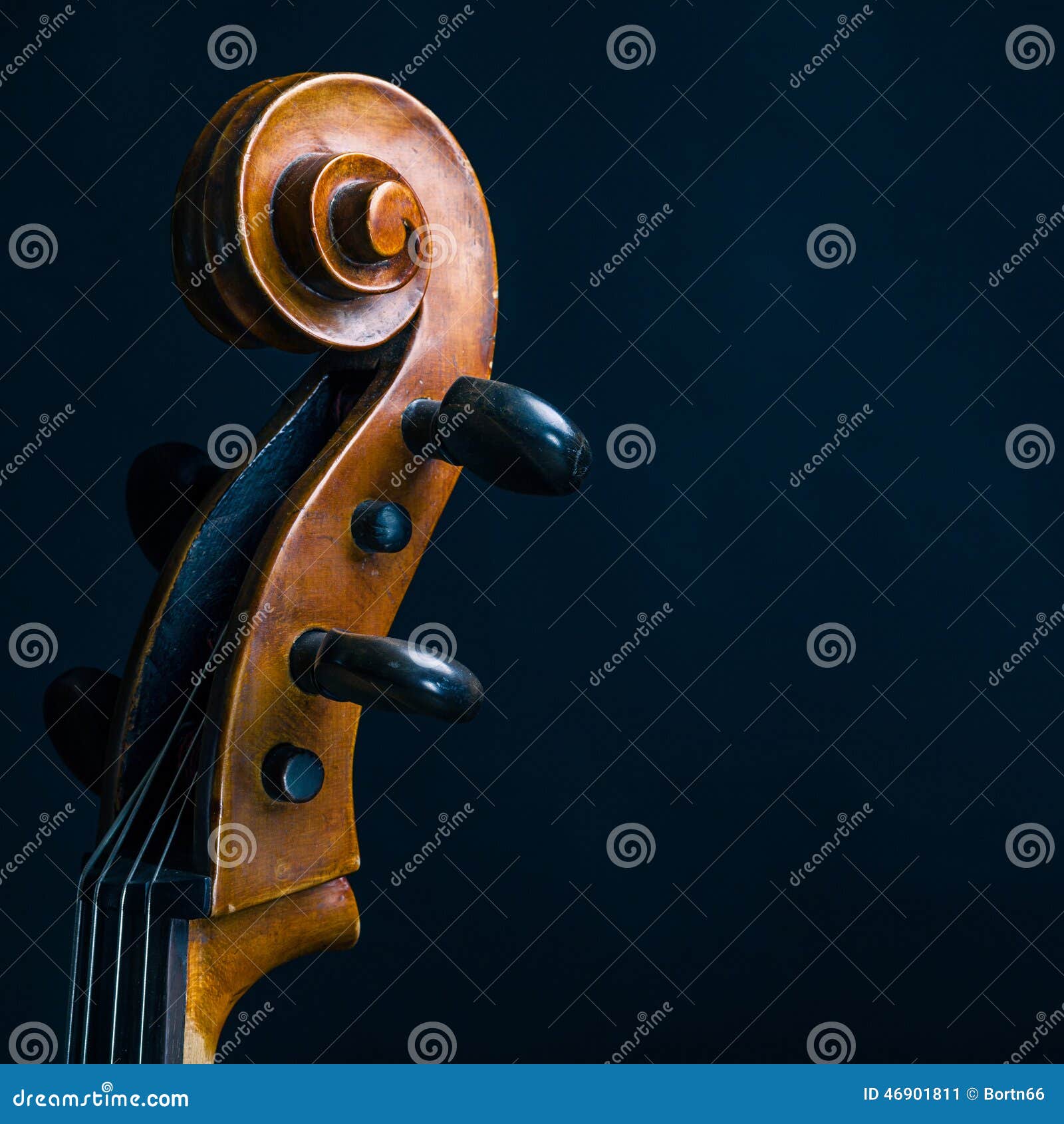 Scroll Cello stock image. Image of wood, instrument, sound - 46901811