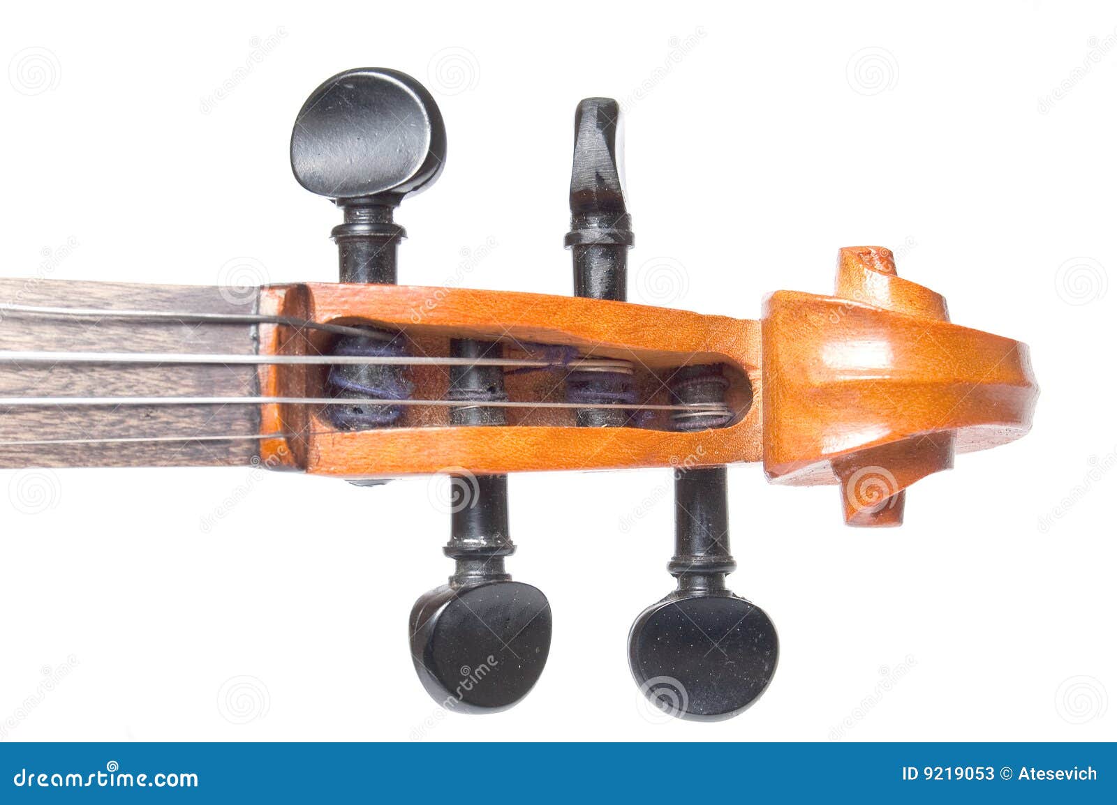 Scroll of Classical Violin Close Up Stock Image - Image of detail ...