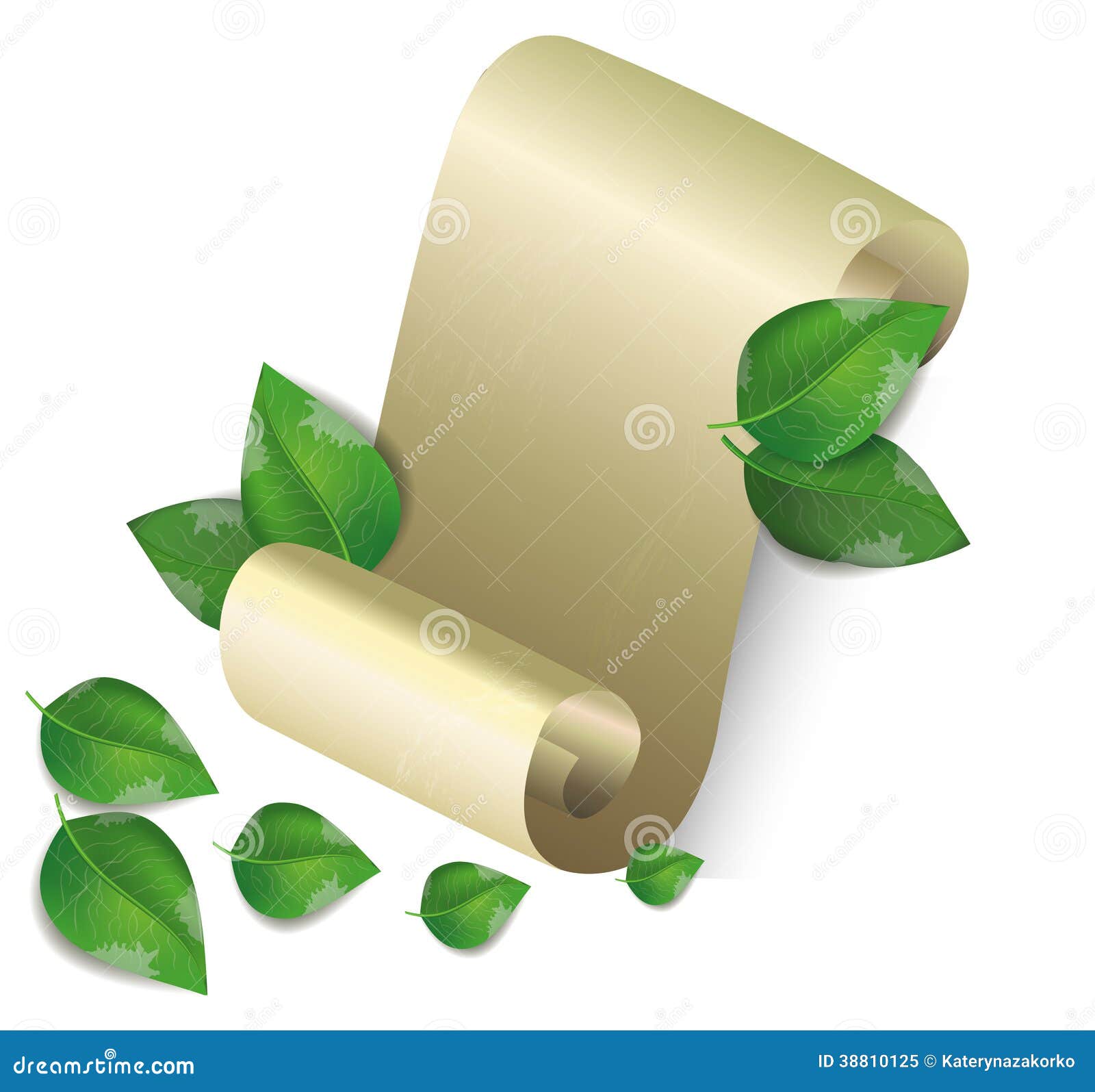 Scroll of Paper and Green Leaves Stock Illustration - Illustration of ...
