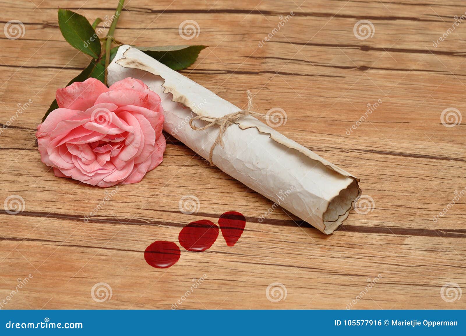 A Scroll of Paper Tie Up with Rope and a Pink Rose Stock Photo - Image ...
