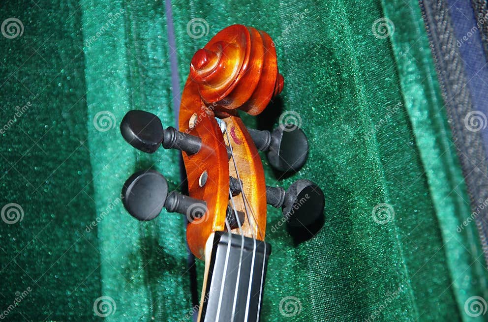 Scroll and Pegbox stock image. Image of model, glossy - 19906631