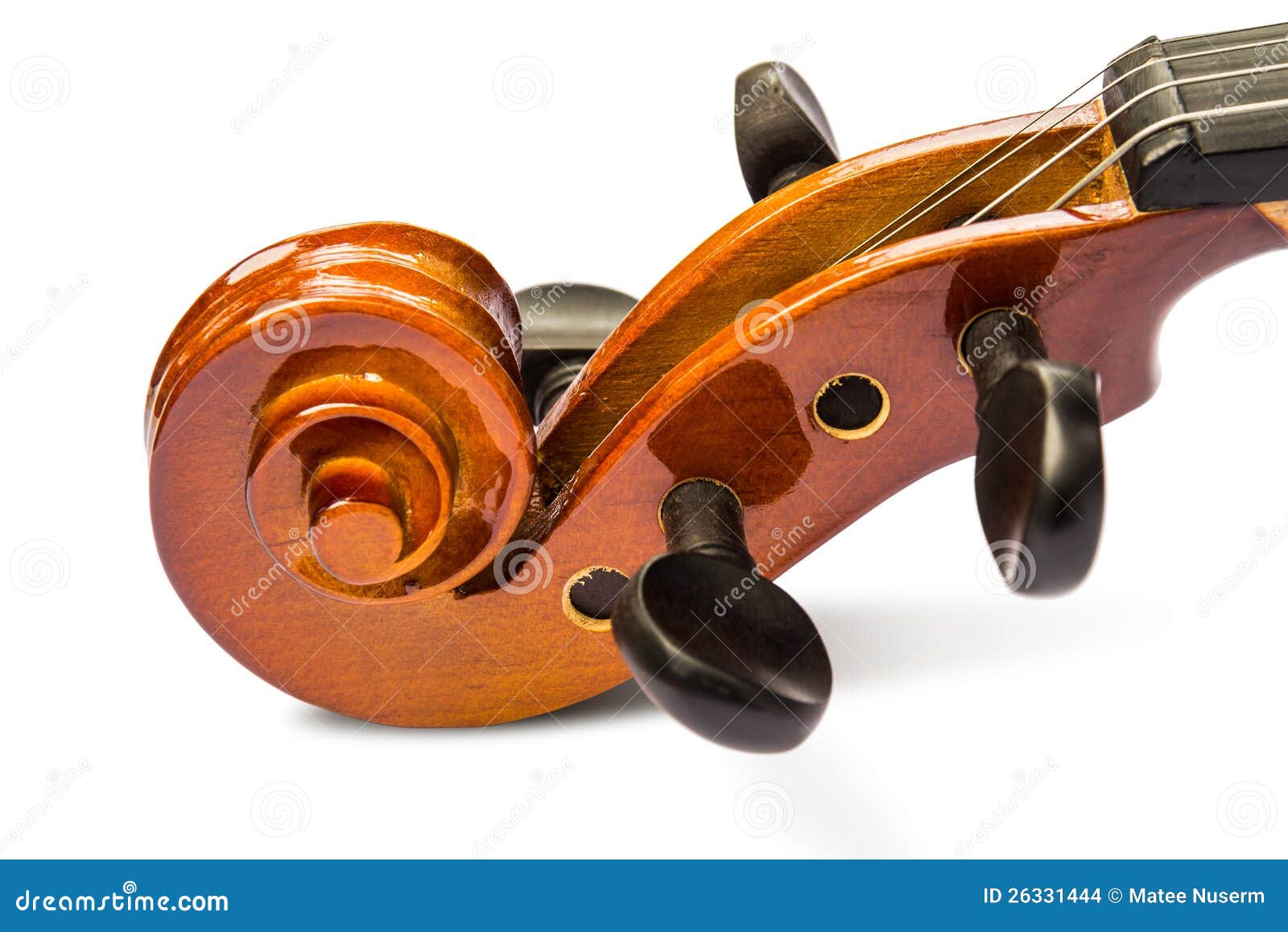Scroll and Pegbox of Violin Stock Photo - Image of note, instrument ...