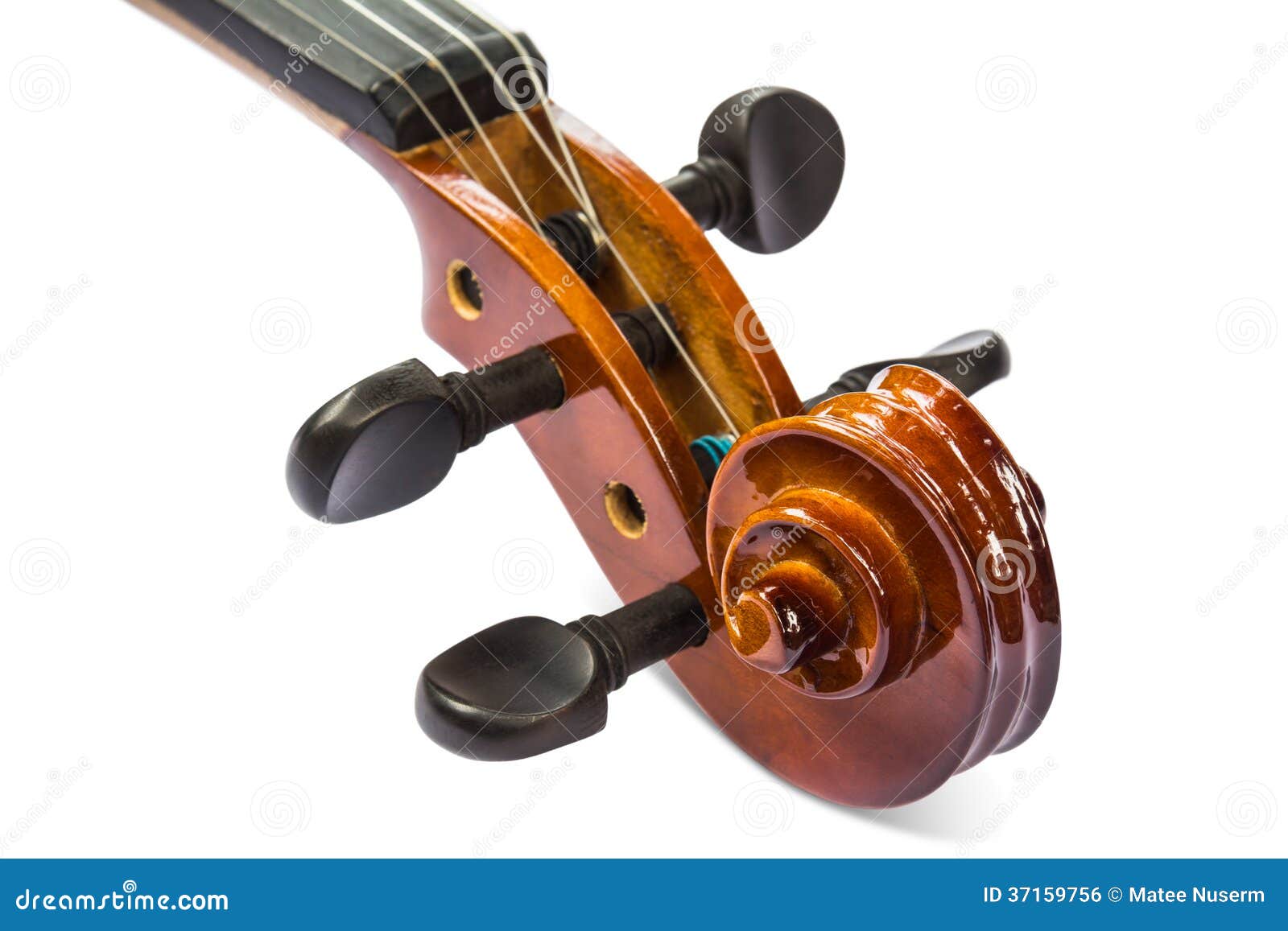 Scroll and Pegbox of Violin Stock Photo - Image of scroll, neck: 37159756