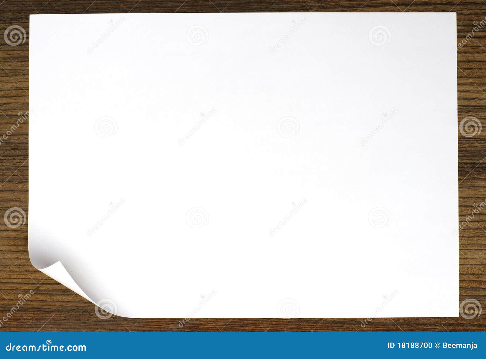 Scroll white paper stock photo. Image of line, corner - 18188700