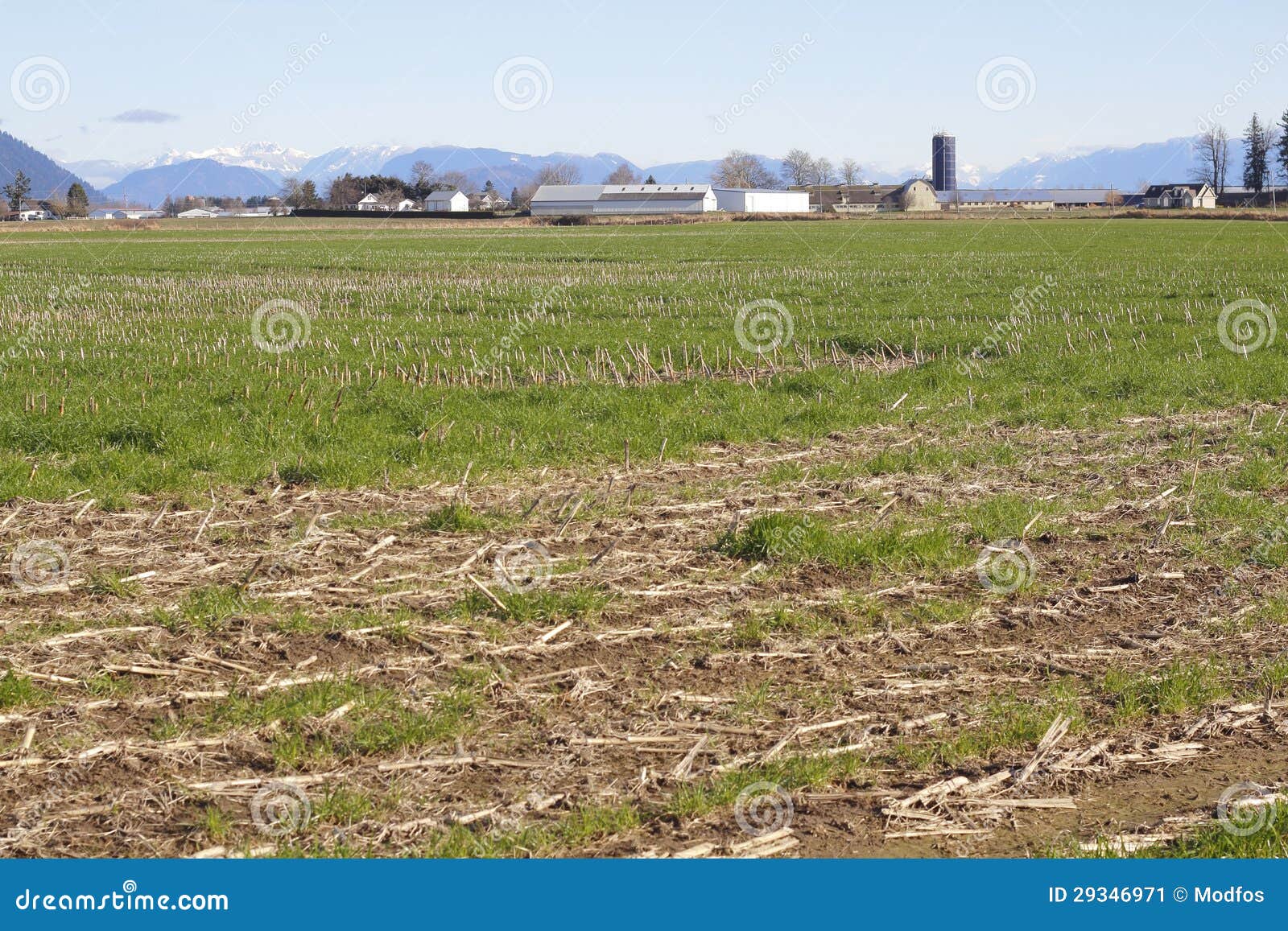 Scrub Field stock image. Image of dormant, harvested - 29346971