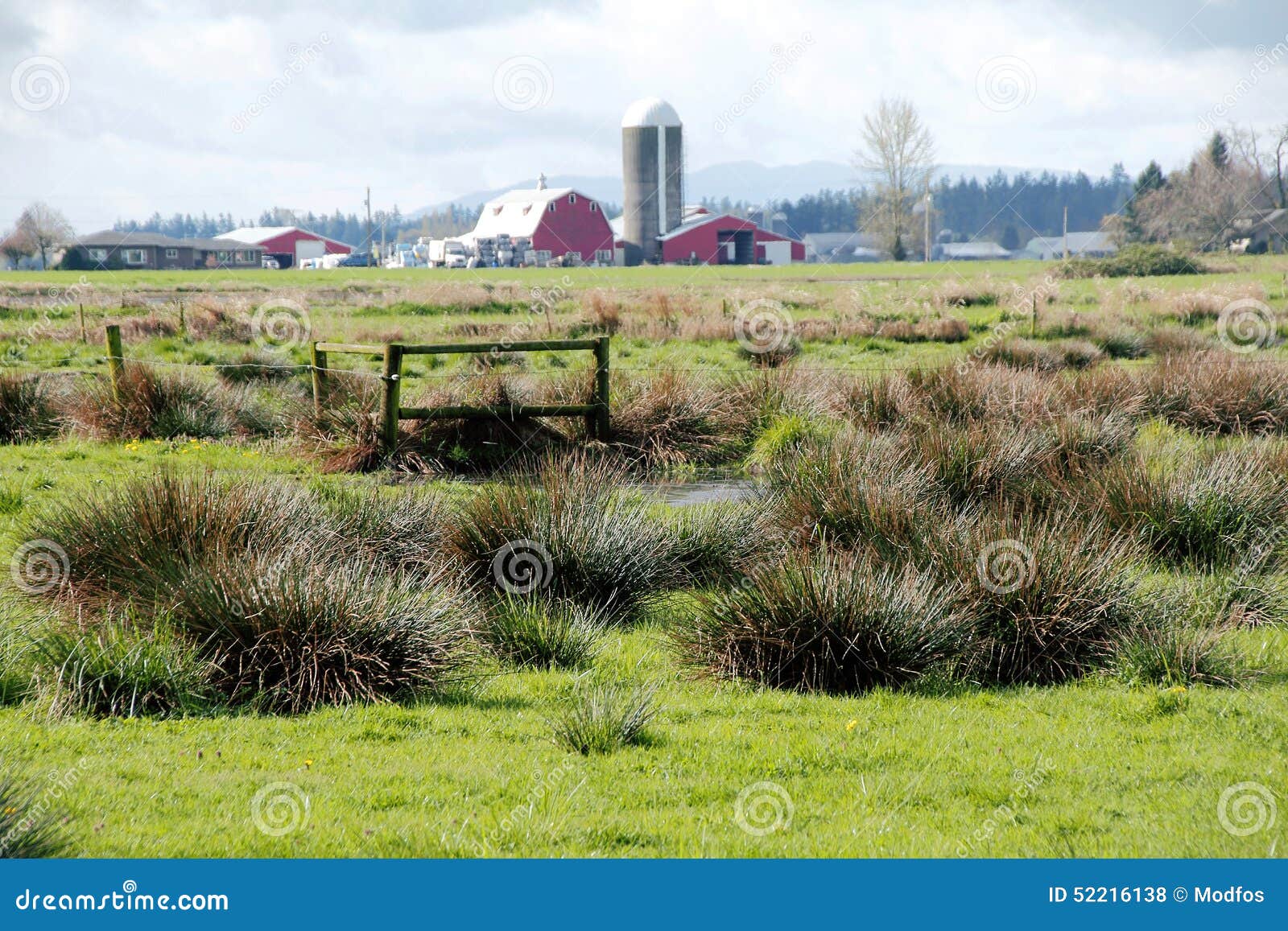 Scrub Land in Western Washington State Stock Photo - Image of green ...