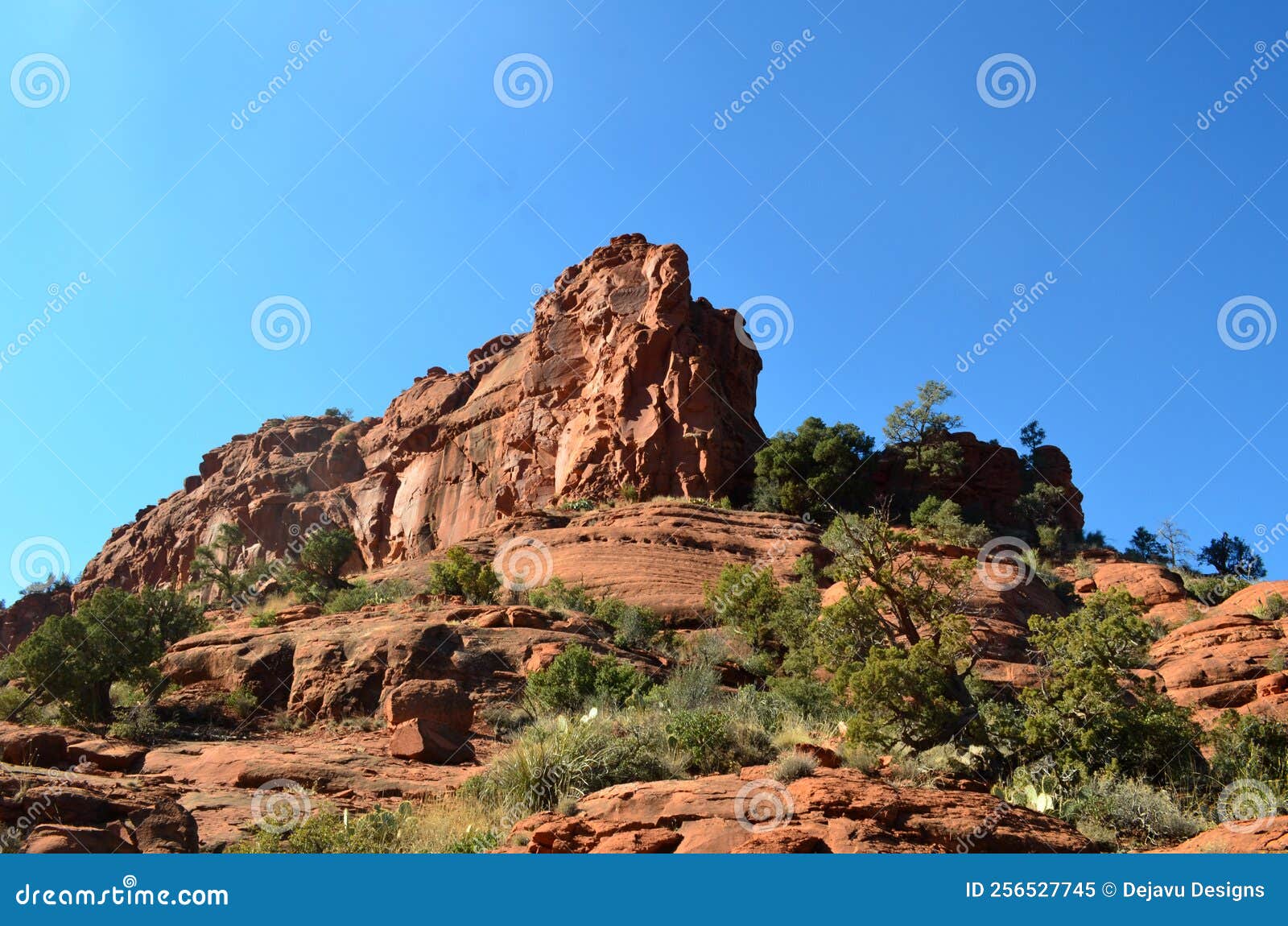 Scrub and Trees at the Base of a Red Rock Stock Image - Image of butte ...