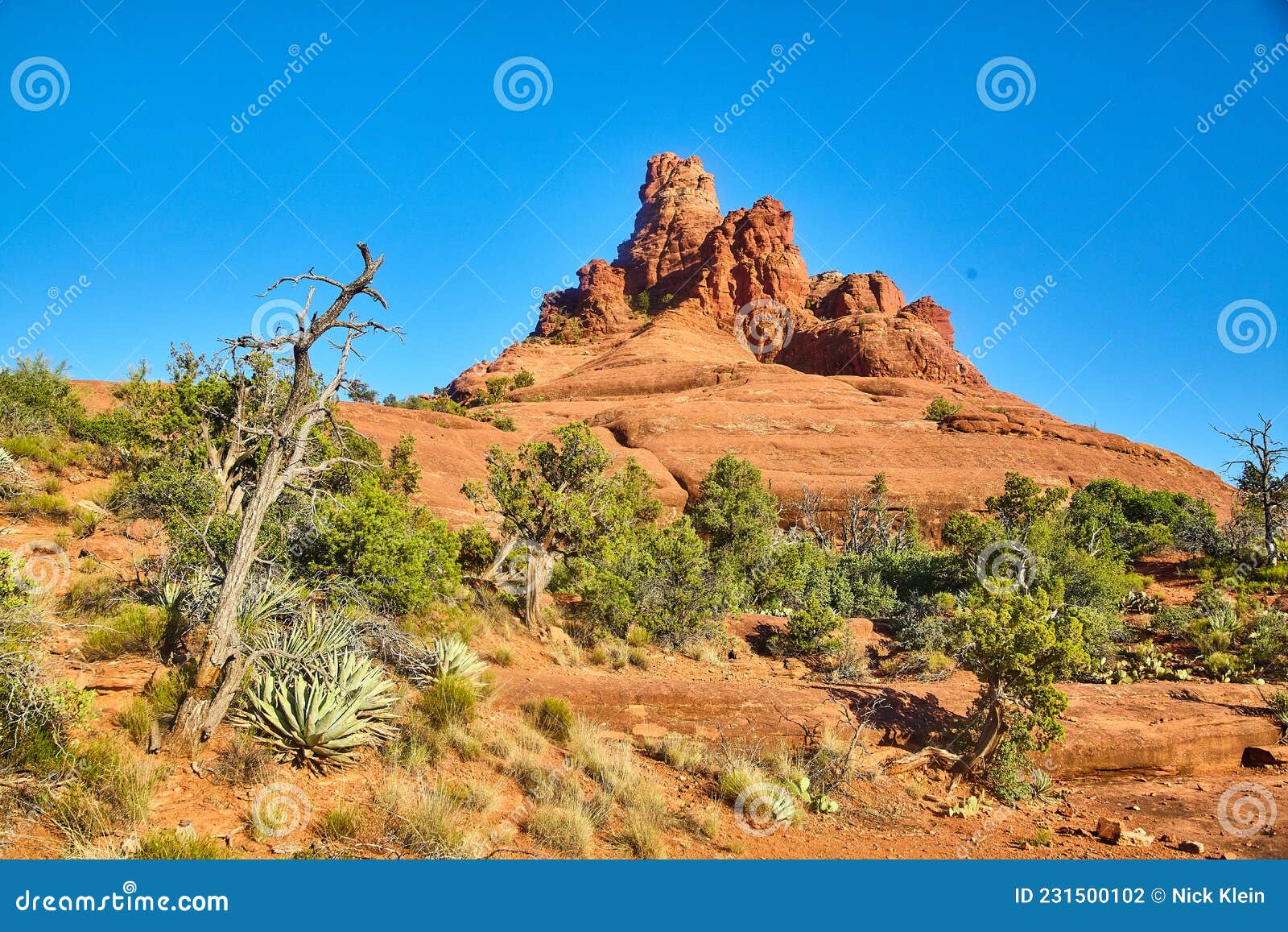 Scrubby Trees and Bushes Surround a Bell Rock Peak Stock Photo - Image ...