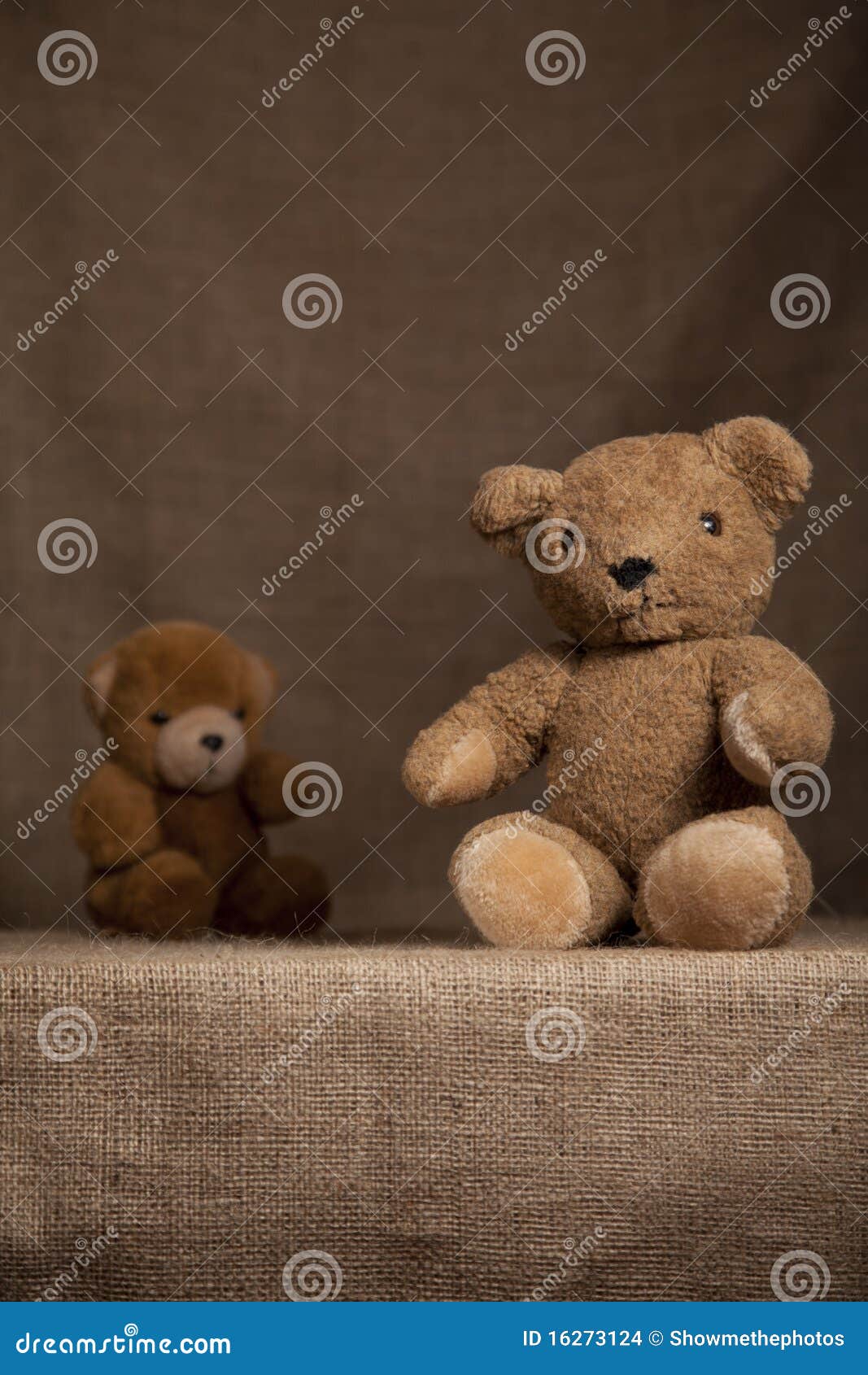 Scruffy teddy bears stock photo. Image of doll, soft - 16273124
