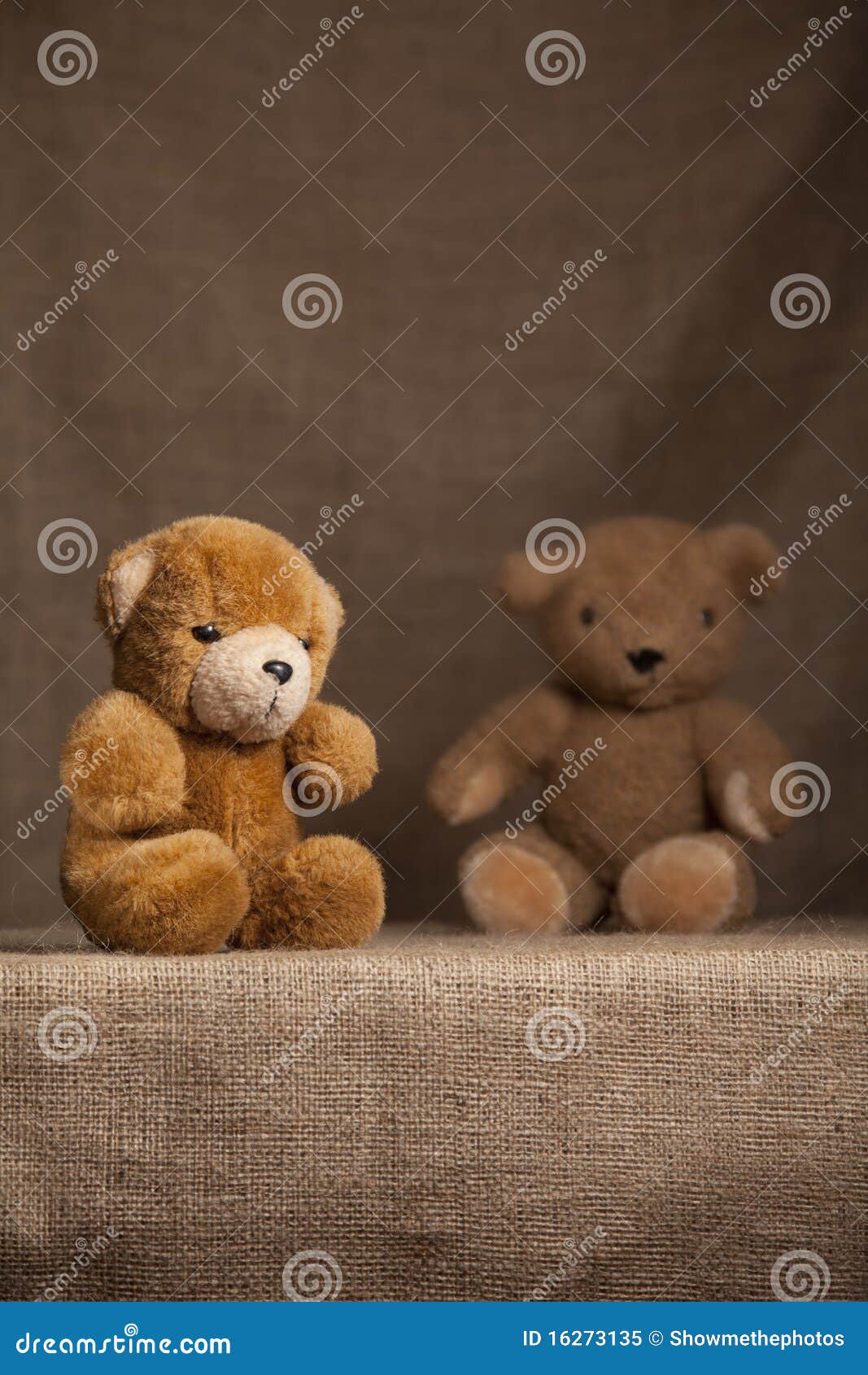 Scruffy teddy bears stock image. Image of space, vertical - 16273135