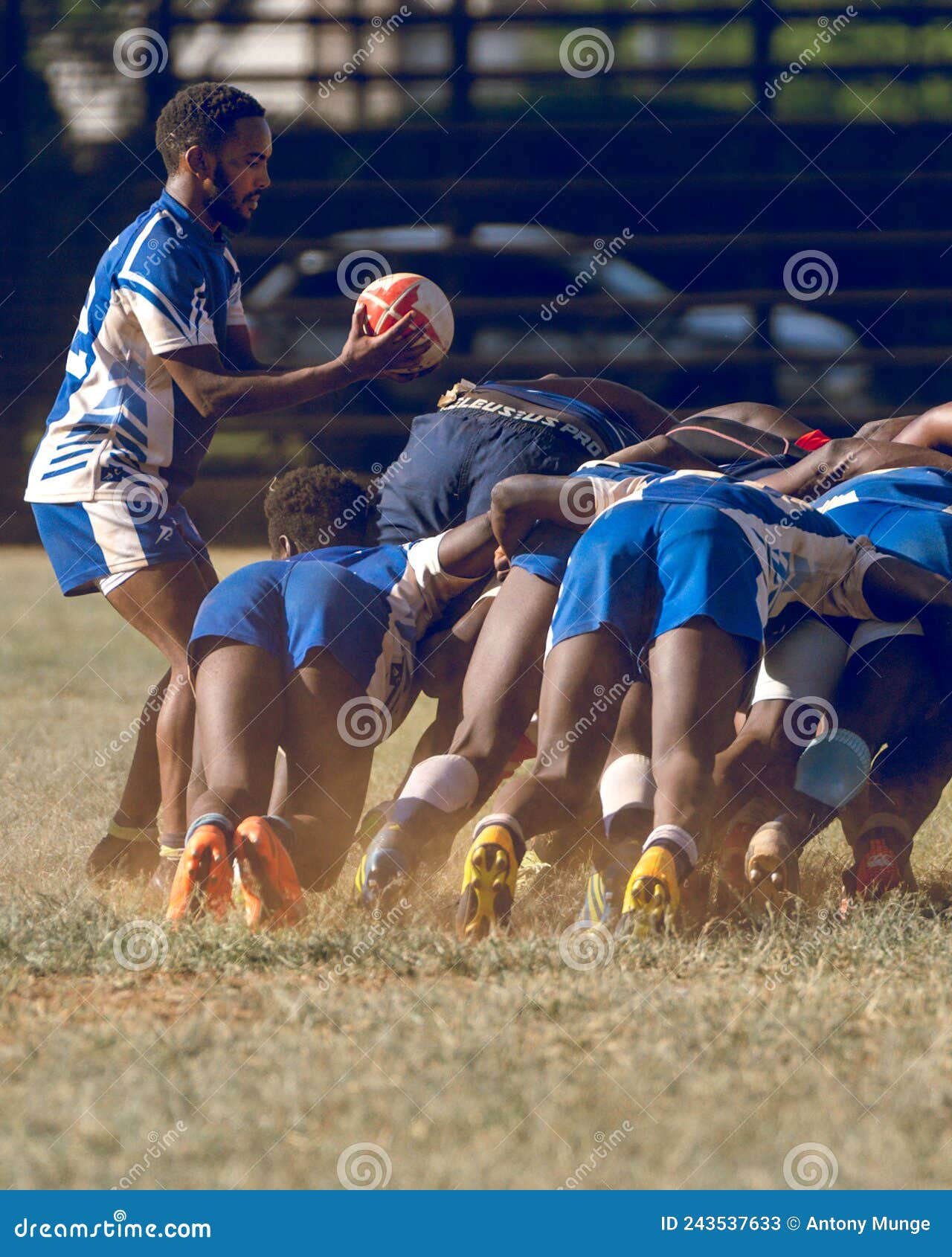 A Scrum in a Rugby Match editorial stock photo. Image of ugby - 243537633