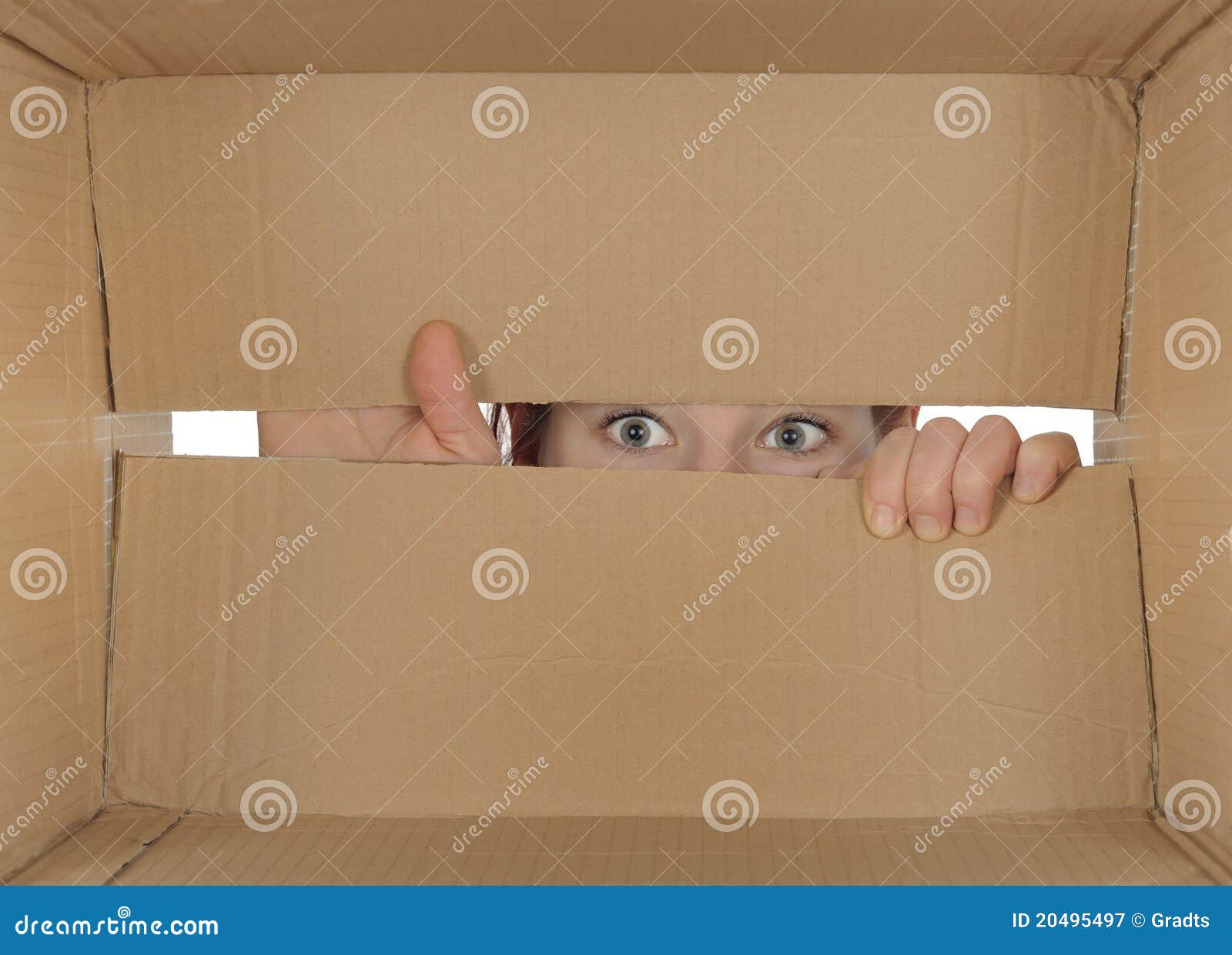 Scruter image stock. Image du curieux, piaulement, livrez - 20495497