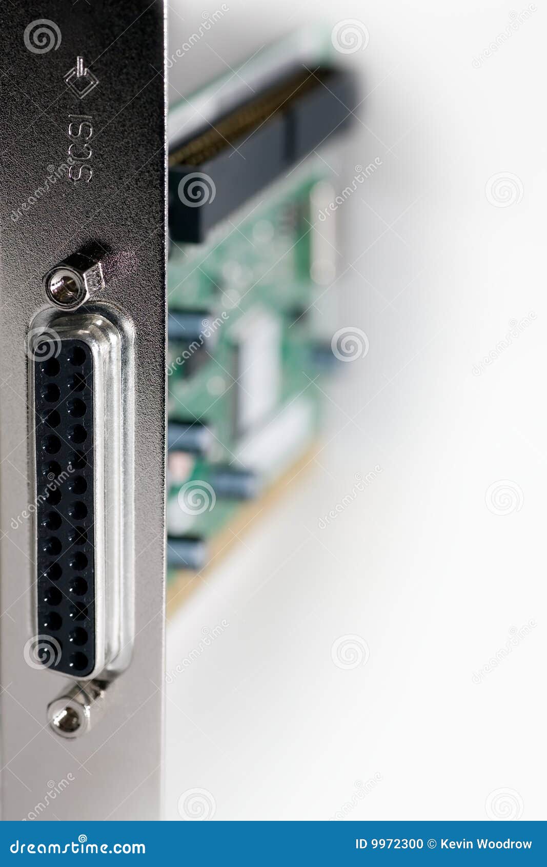 SCSI Card Close-up Isolated - Vertical Stock Photo - Image of icons ...