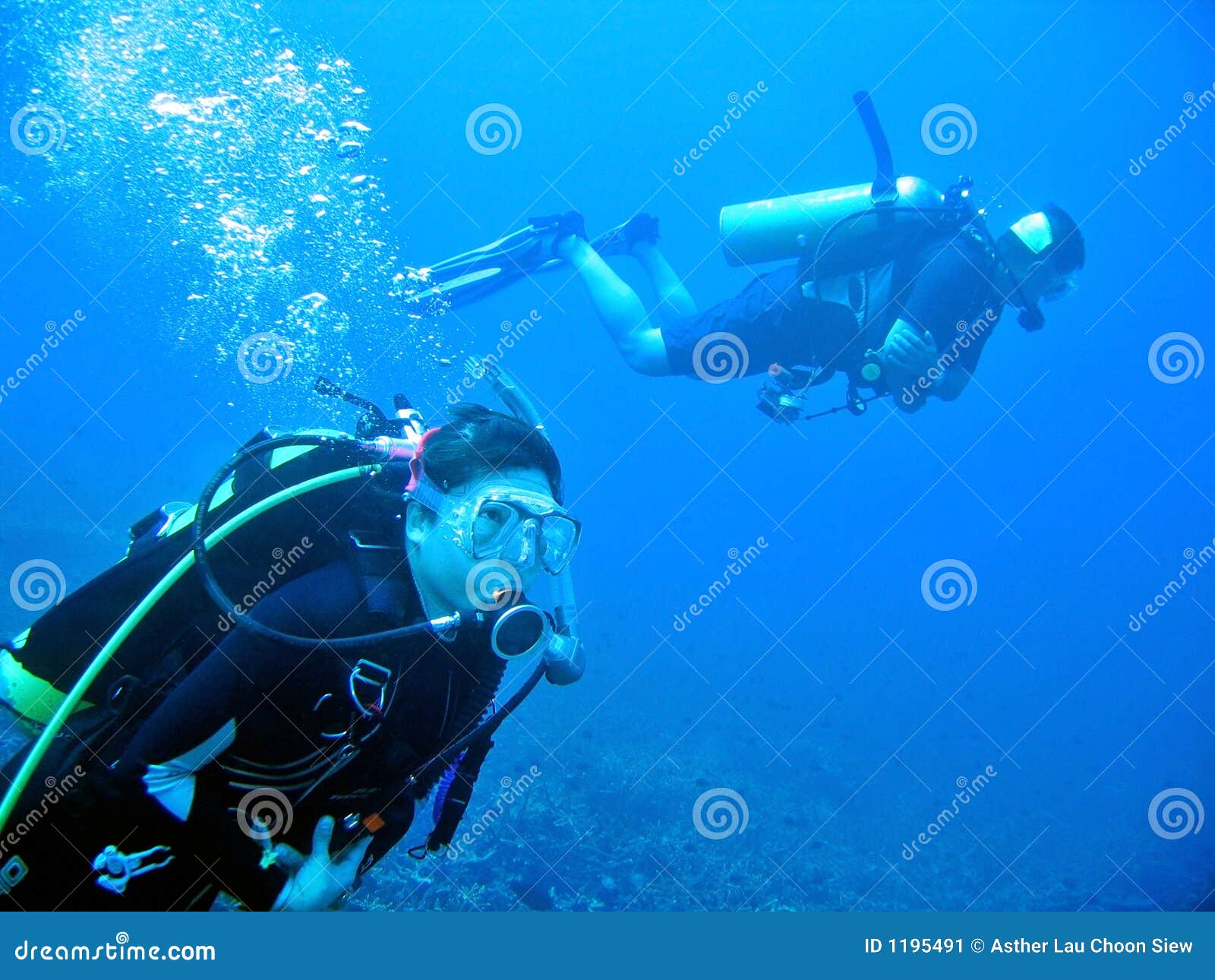 Scuba in the Blue stock image. Image of water, marine - 1195491