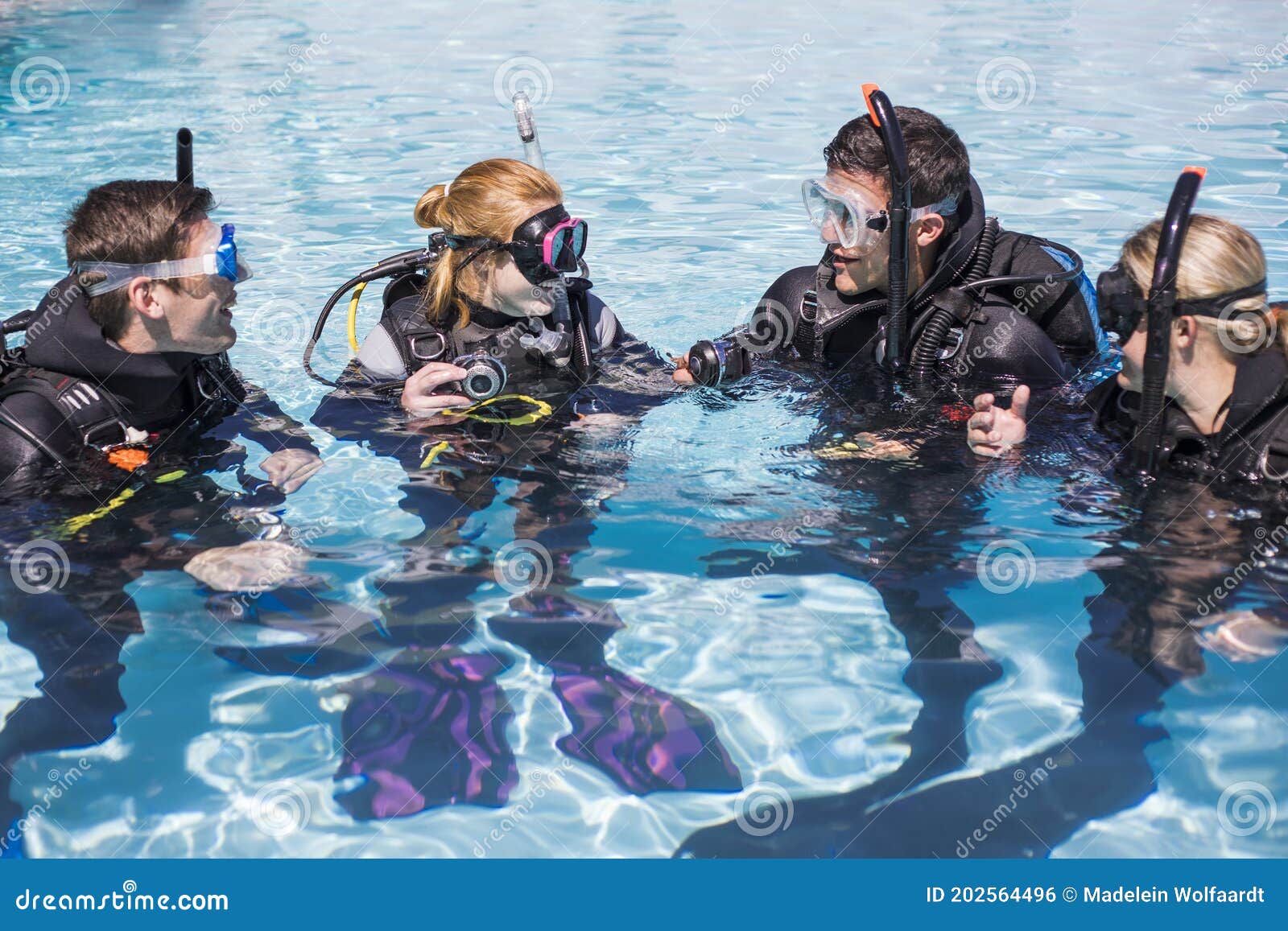 Scuba Dive Training in a Pool with a Group Stock Photo - Image of ...