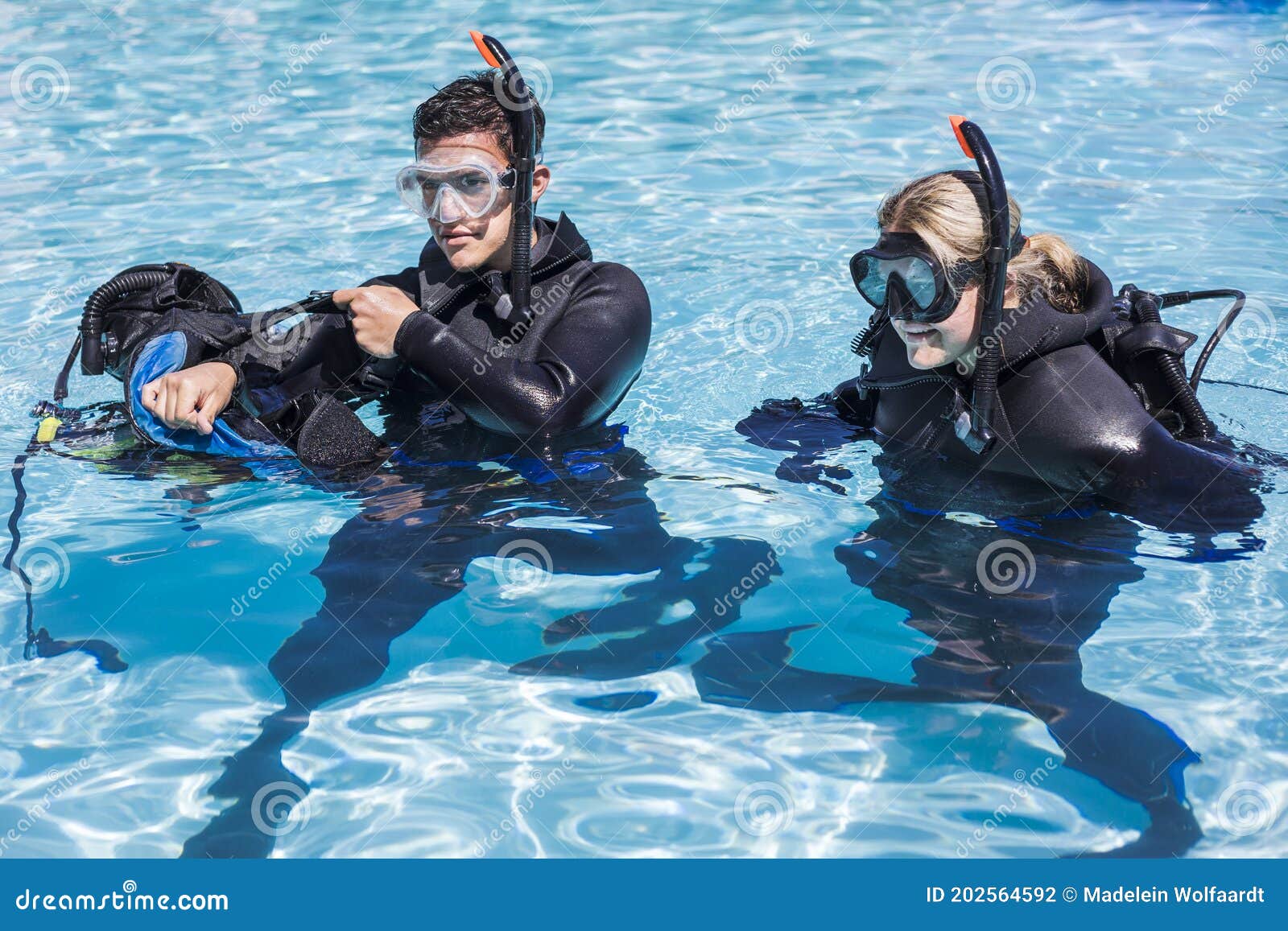 Scuba Dive Training in a Pool Students Stock Photo - Image of pool ...