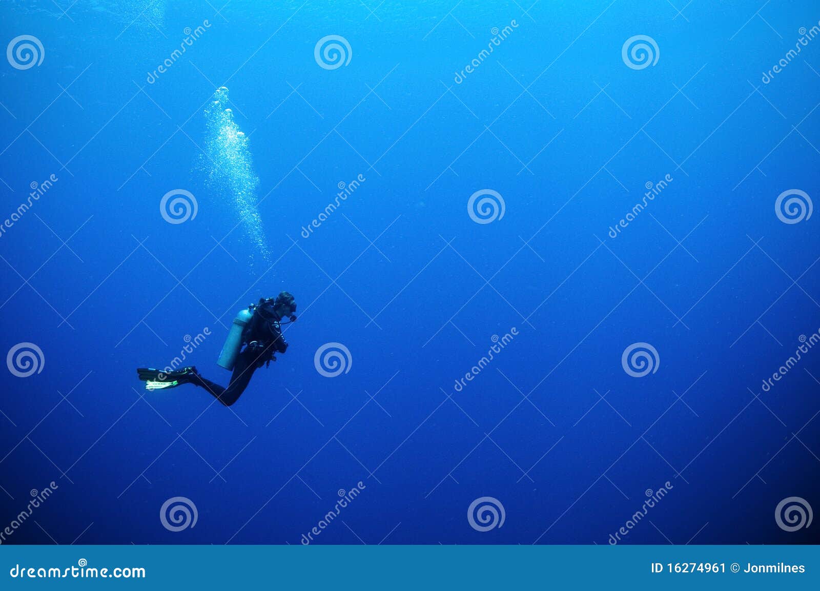 Scuba diver stock image. Image of portrait, lifestyle - 16274961