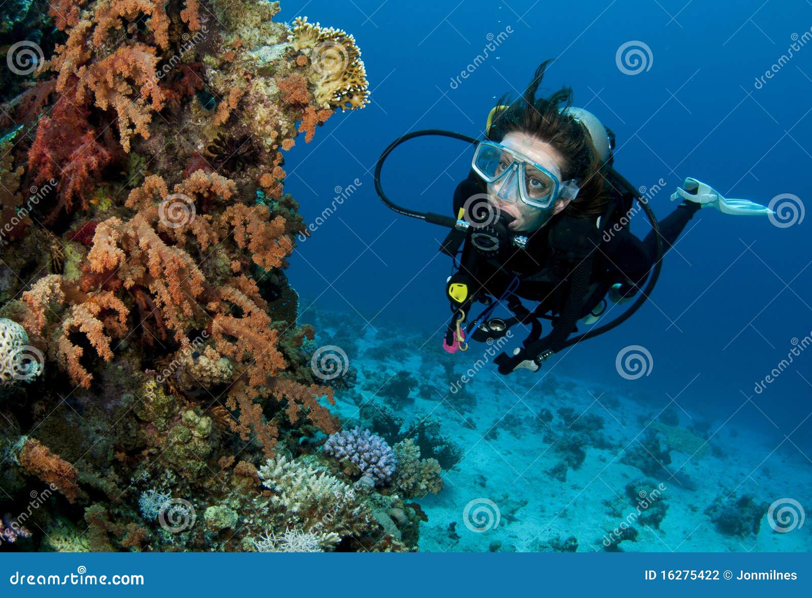 Scuba diver stock photo. Image of person, lifestyle, diver - 16275422