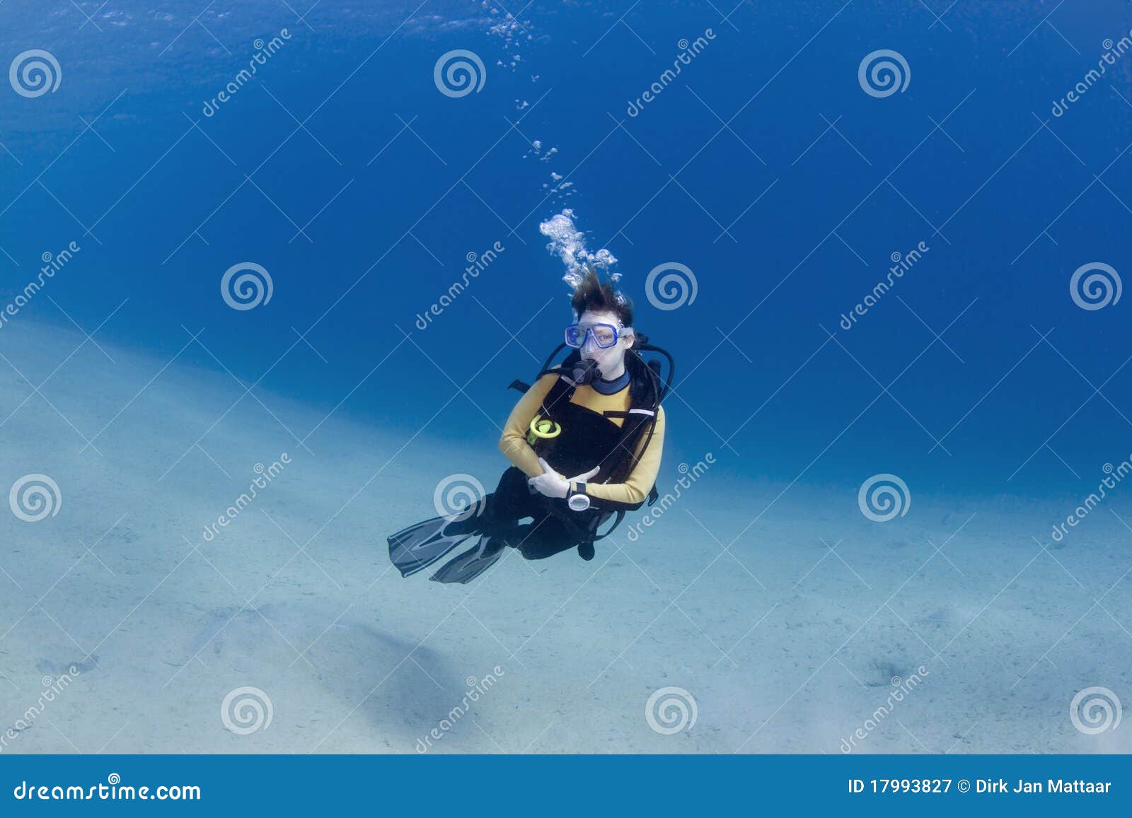 Scuba diver stock image. Image of relaxation, diving - 17993827