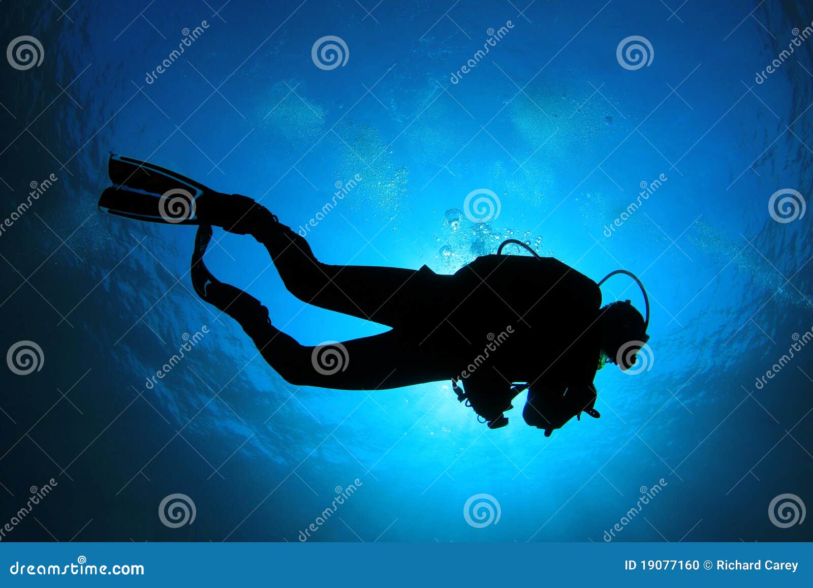 Scuba Diver stock photo. Image of swim, depth, diver - 19077160