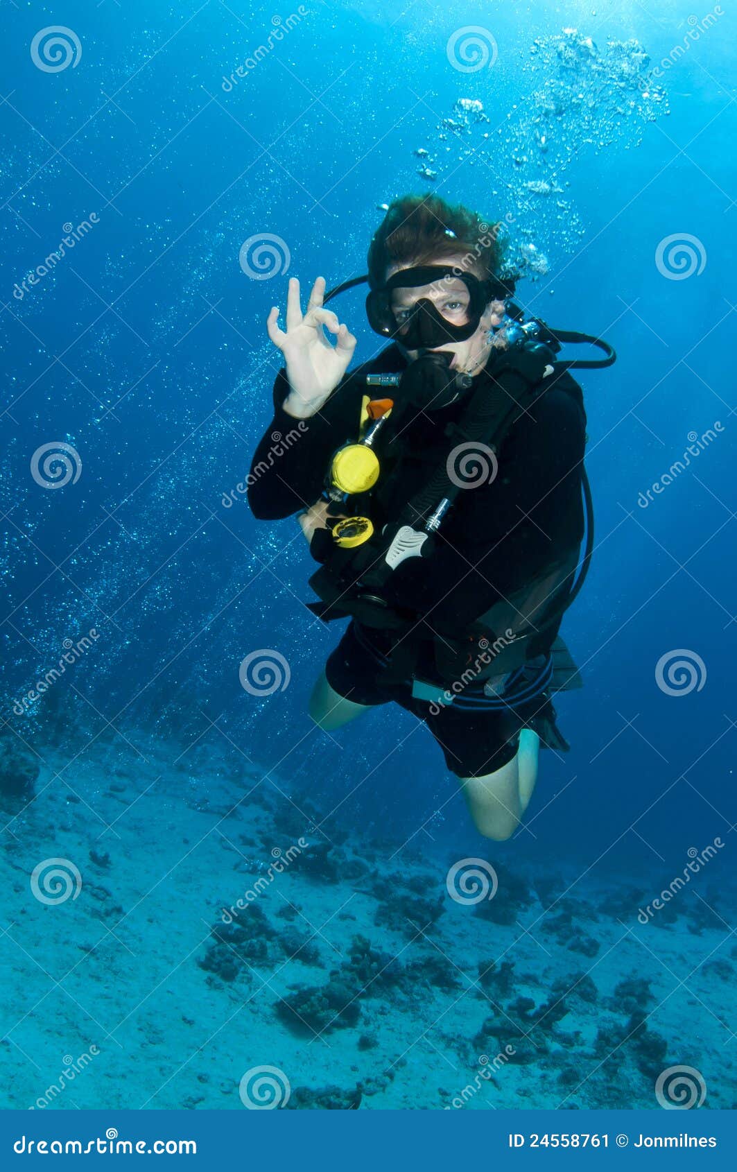 Scuba diver stock image. Image of ocean, life, bubbles - 24558761