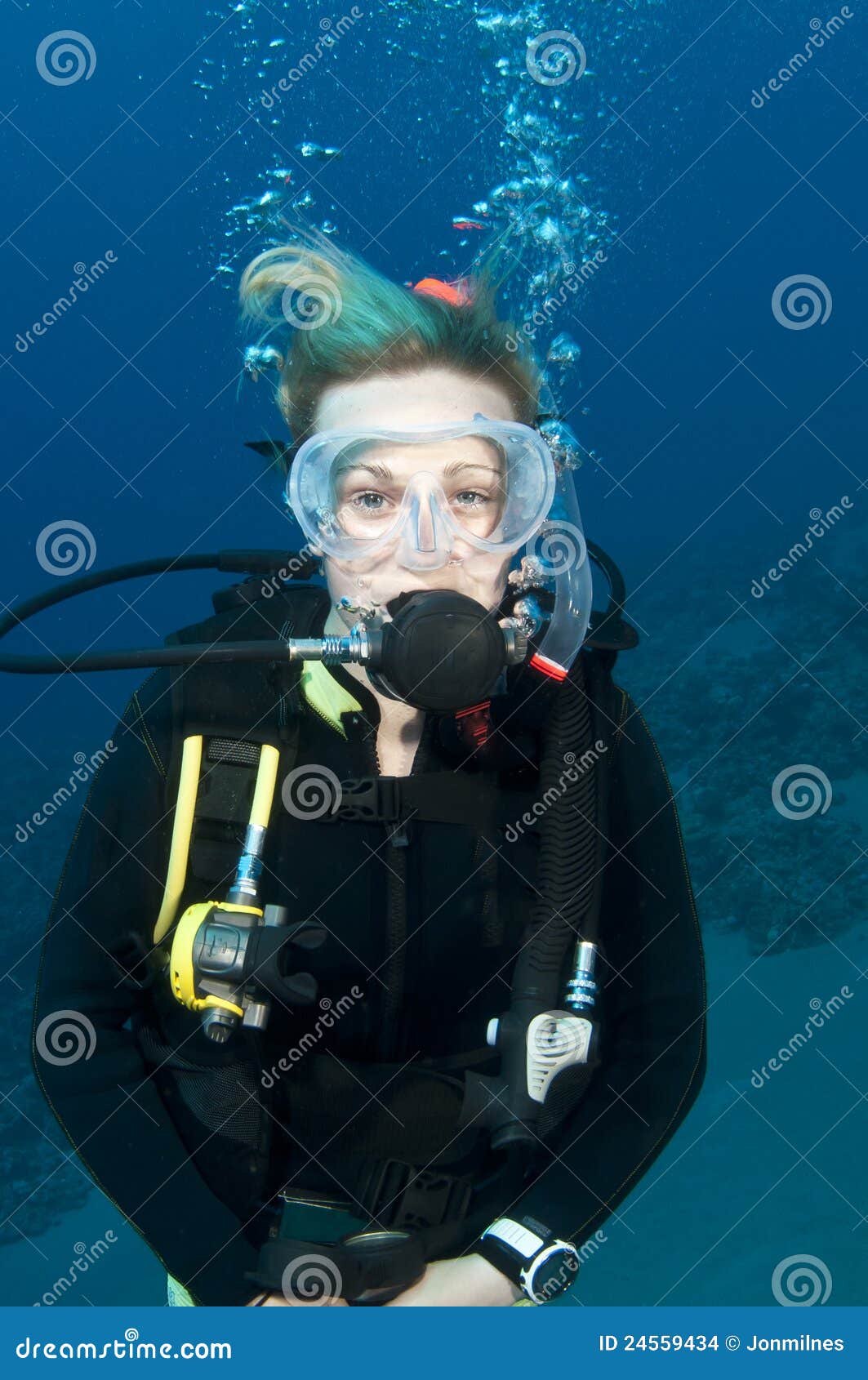 Scuba diver stock photo. Image of dive, diver, bubbles - 24559434