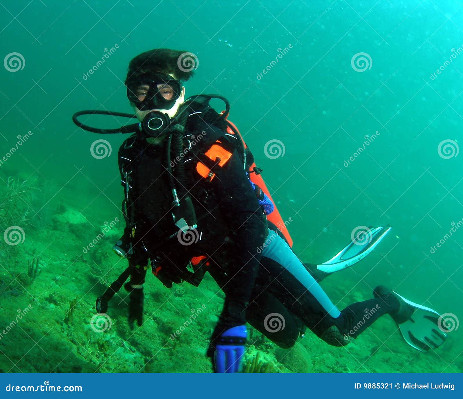 Scuba Diver stock image. Image of blue, diver, close, light - 9885321