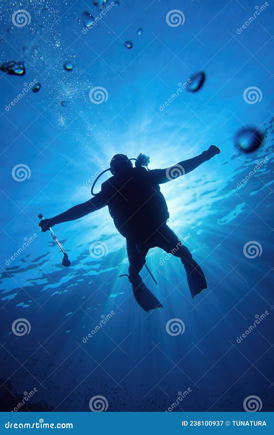 Scuba Diver in the Blue Water Descending in To the Depth Stock Image ...