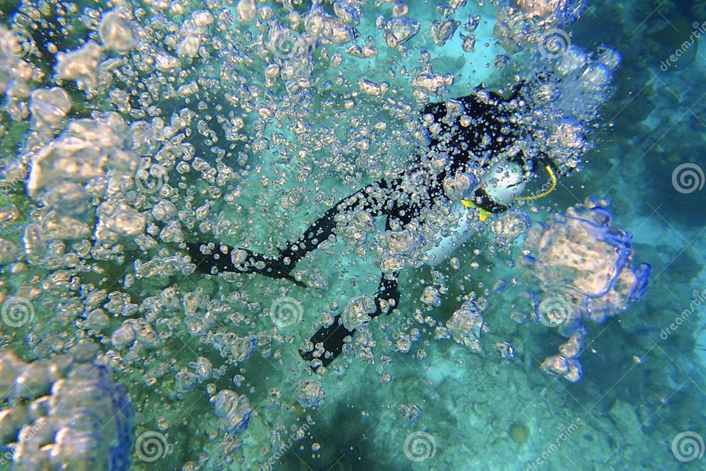 Scuba Diver Bubbles Rising To the Surface. Stock Photo - Image of ...