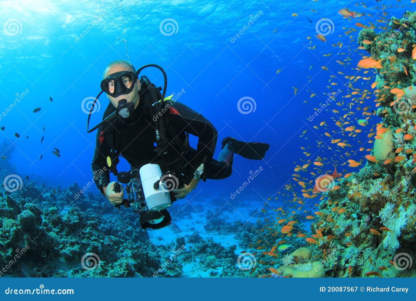 Scuba Diver with Camera stock image. Image of natural - 20087567