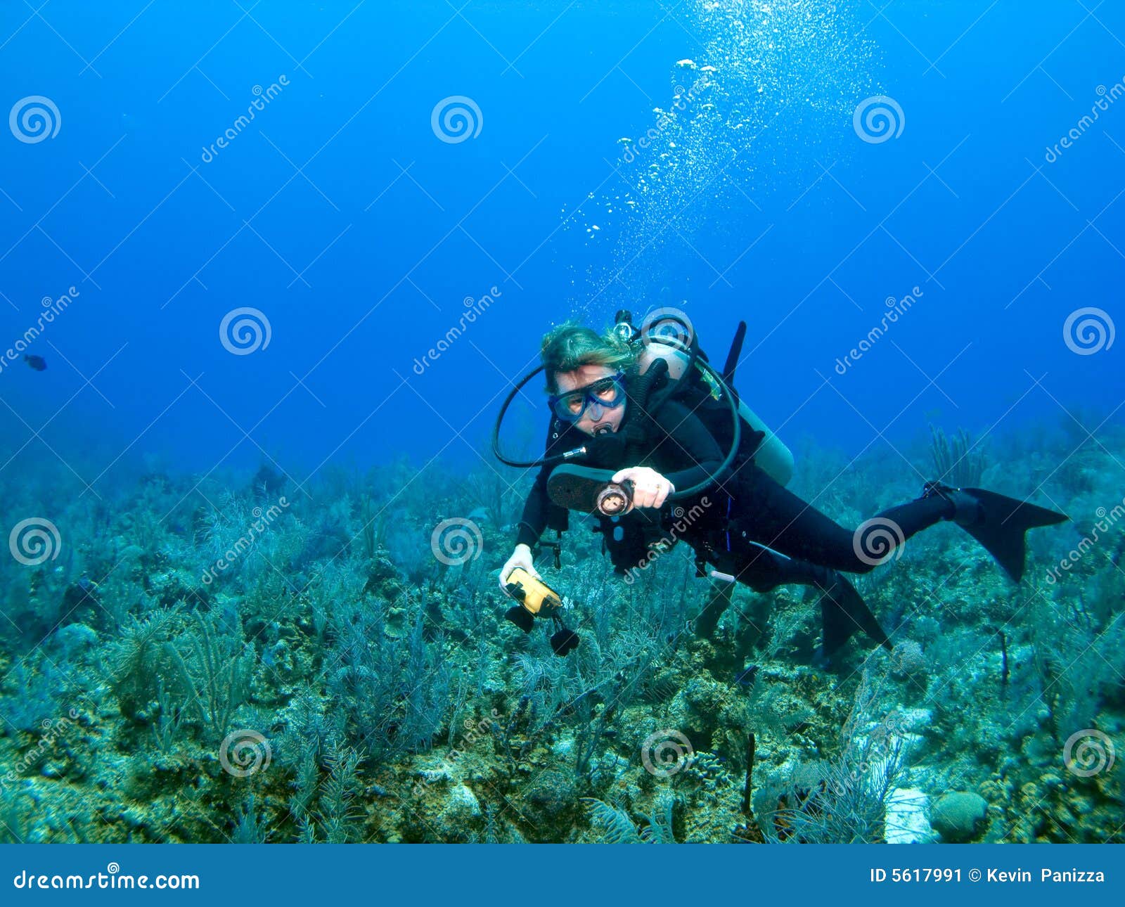 Scuba Diver Checking Gauges Stock Image - Image of underwater, wetsuit ...