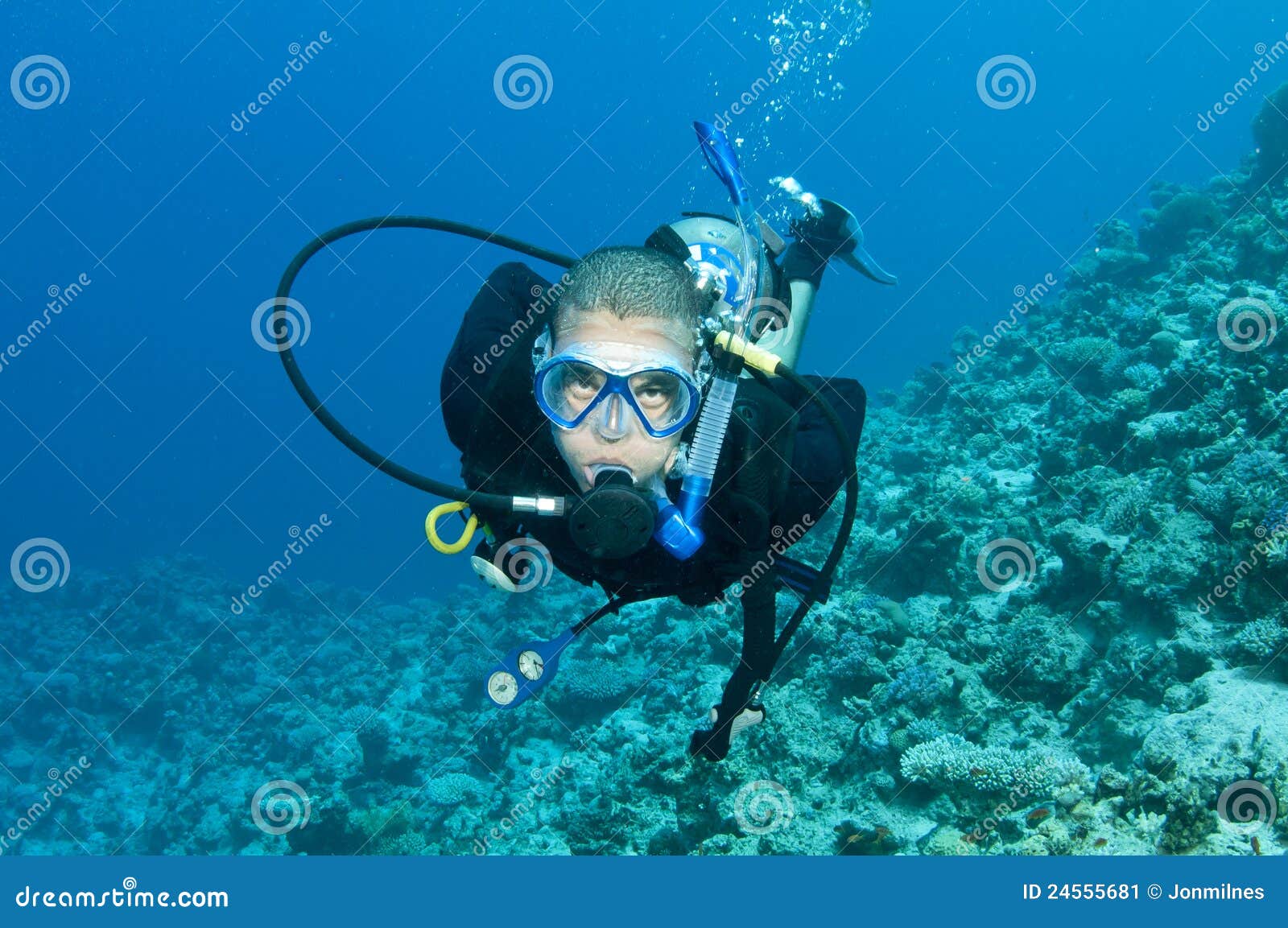 Scuba Diver on a Coral Reef Stock Image - Image of mask, scuba: 24555681
