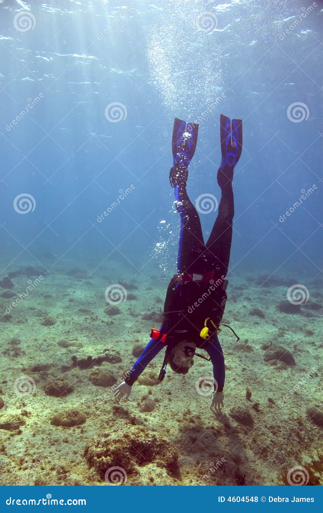 Scuba Diver Doing Handstand Picture. Image: 4604548