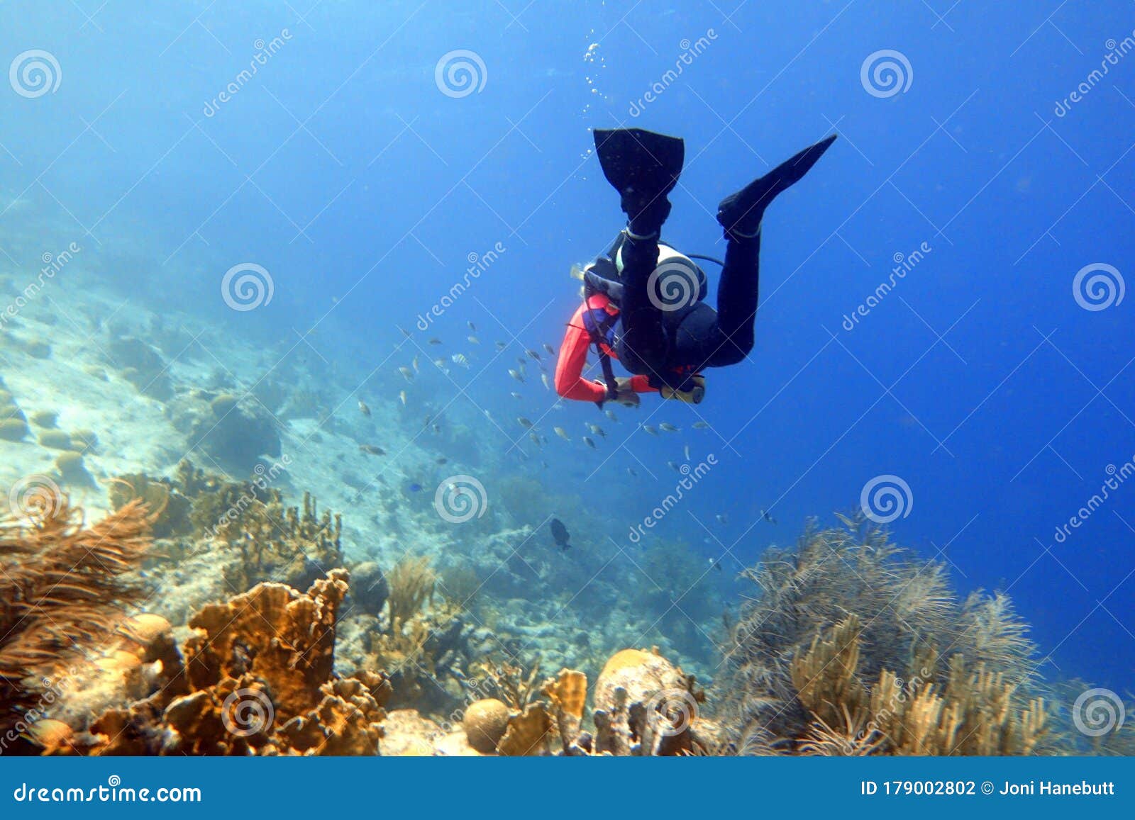 A Scuba Diver Enjoying a Relaxing Dive in the Ocean Stock Photo - Image ...