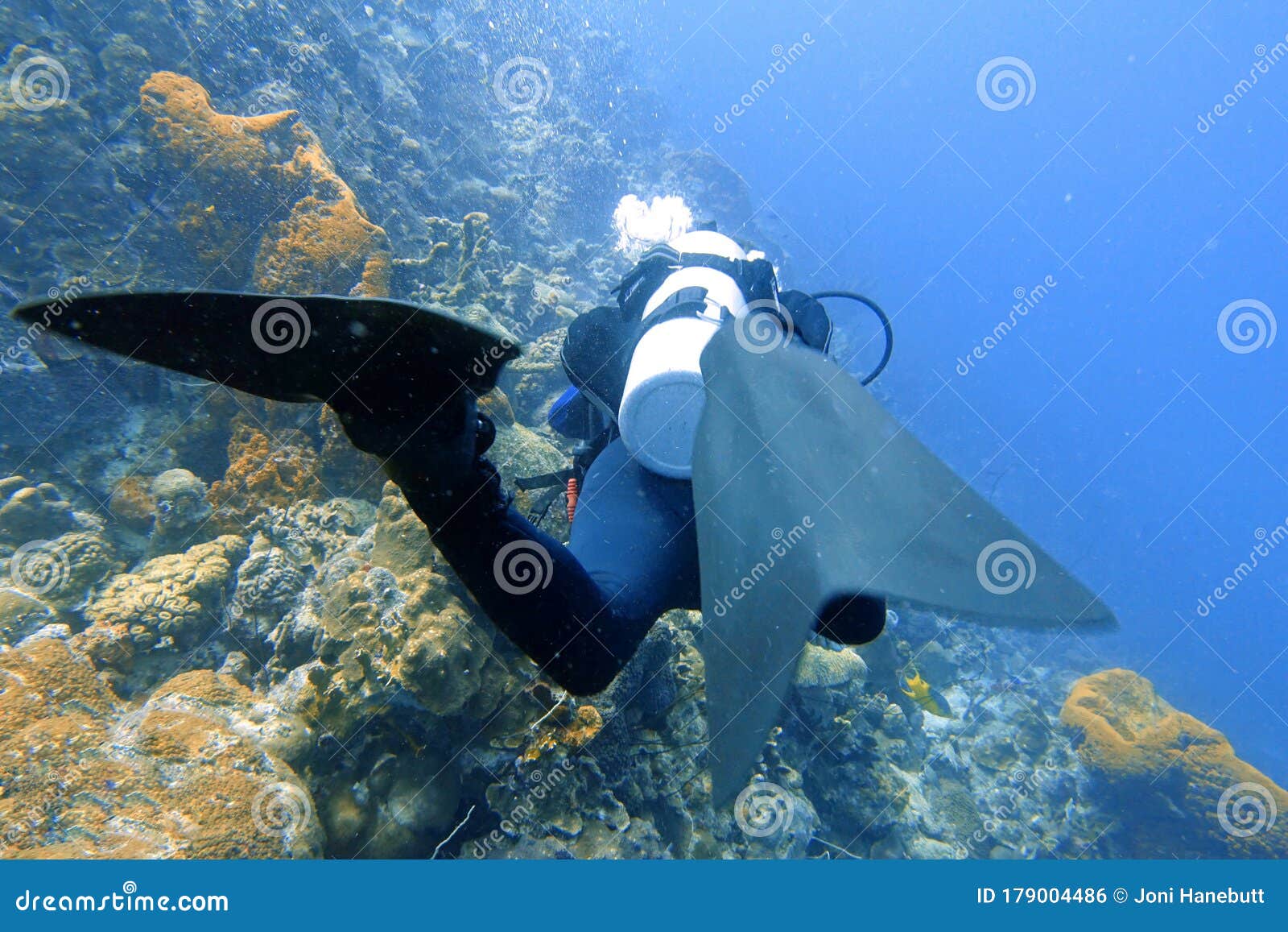 A Scuba Diver Enjoying a Relaxing Dive in the Ocean Stock Photo - Image ...
