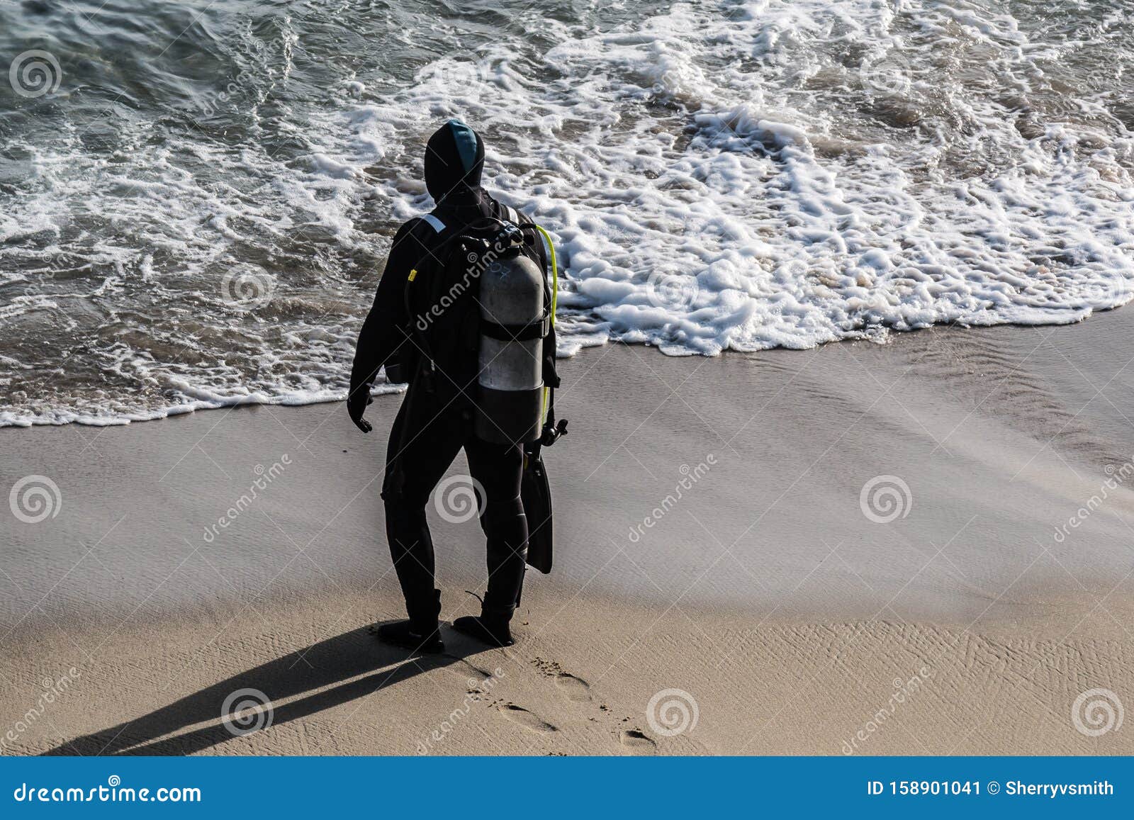 Scuba Diver Entering Ocean editorial photo. Image of leisure - 158901041