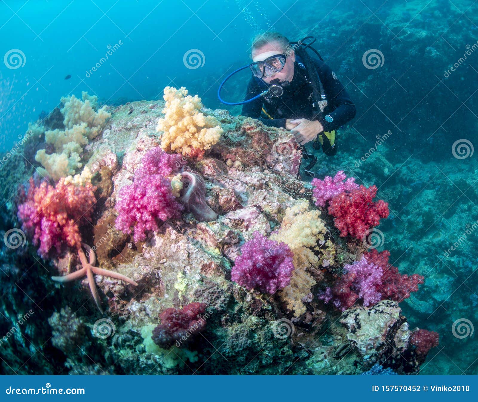 Scuba Diver Exploring a Reef Stock Photo - Image of ocean, coral: 157570452